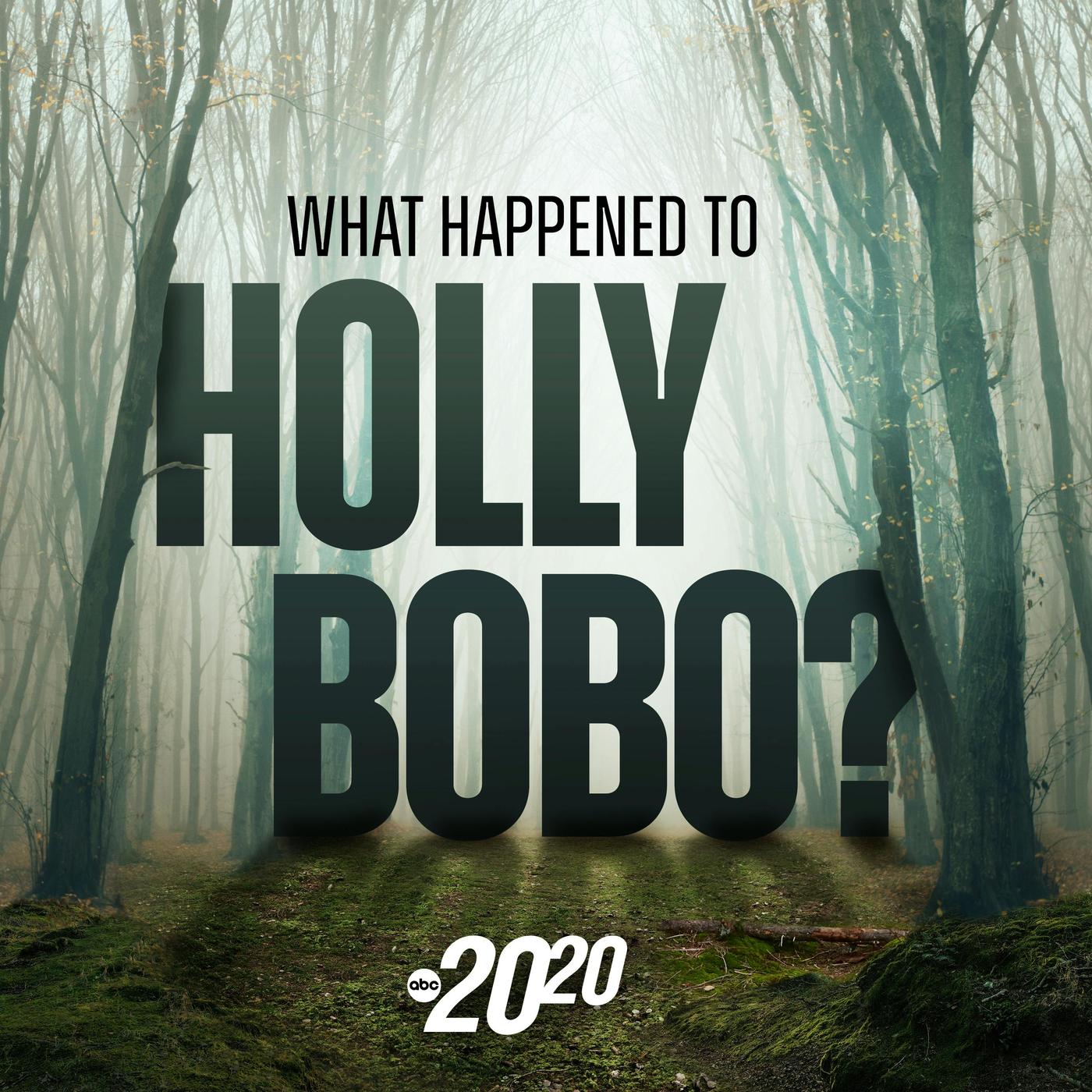What Happened to Holly Bobo?: The Breaking Point - 20/20 (podcast ...