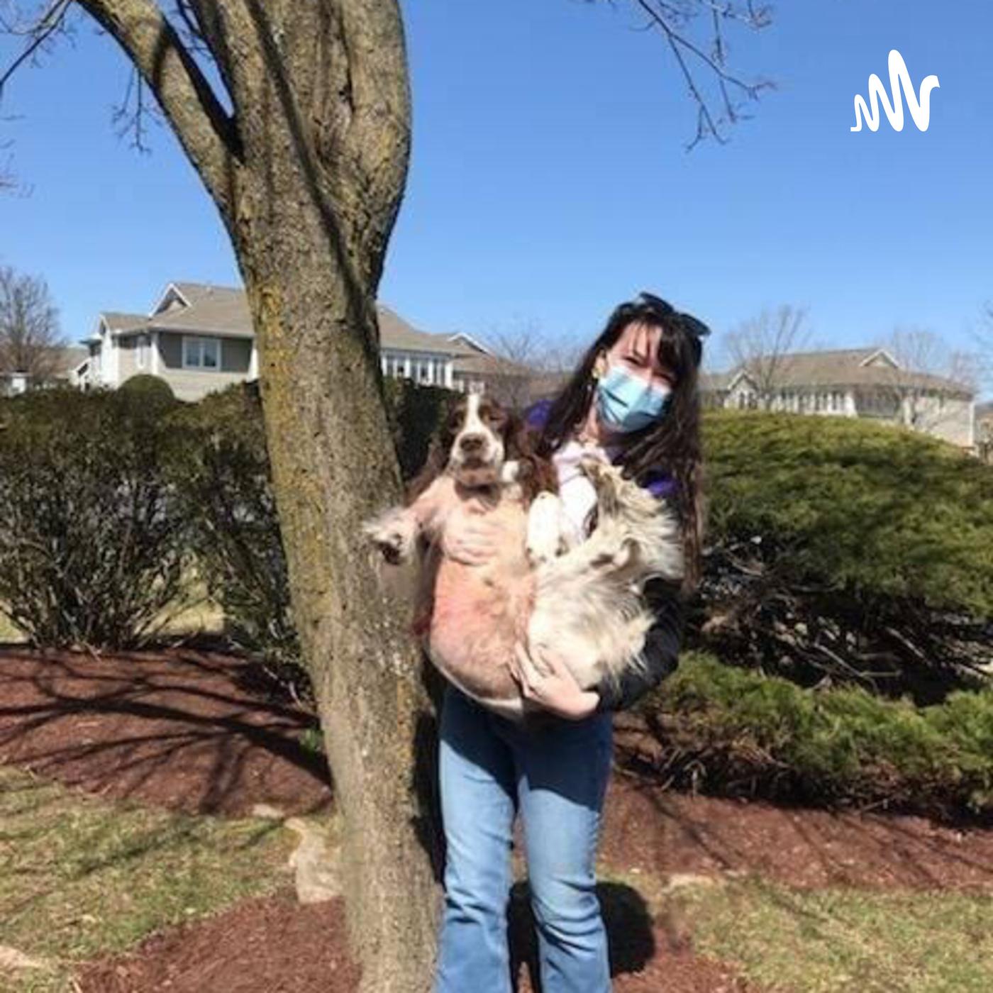 Brining Back the Fun - A Dash of Color ‘21 (podcast) | Listen Notes