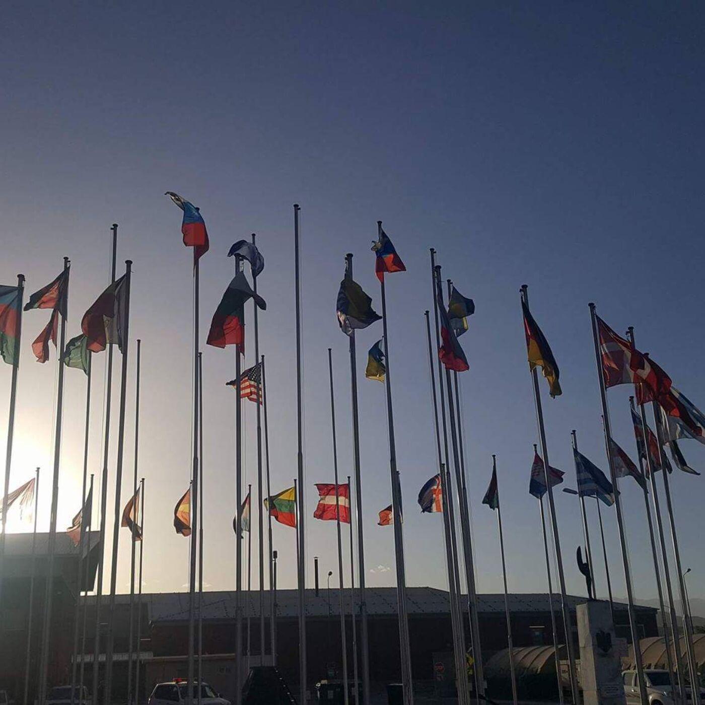 Live In D!ckhead - A POGs Life (podcast) | Listen Notes