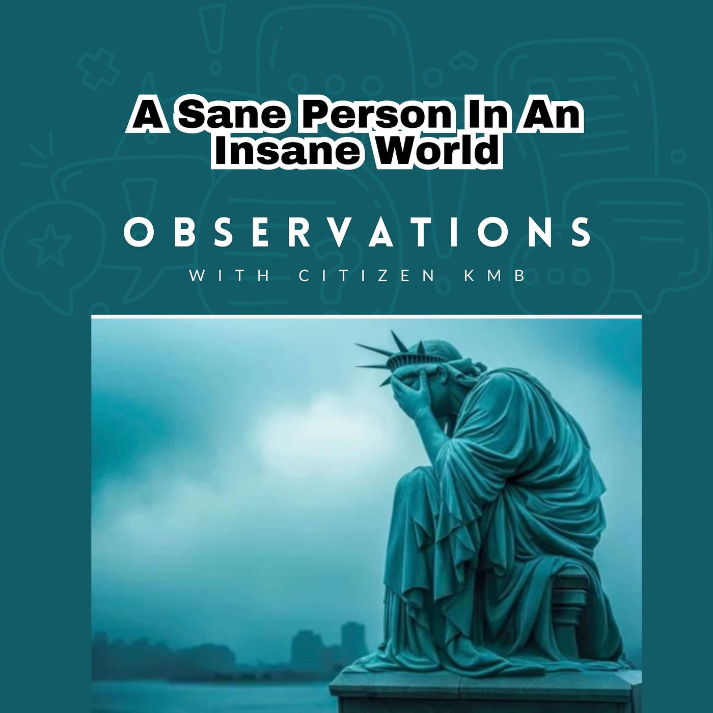 The Marketing Insanity of the 2024 Election - A Sane Person Living in ...