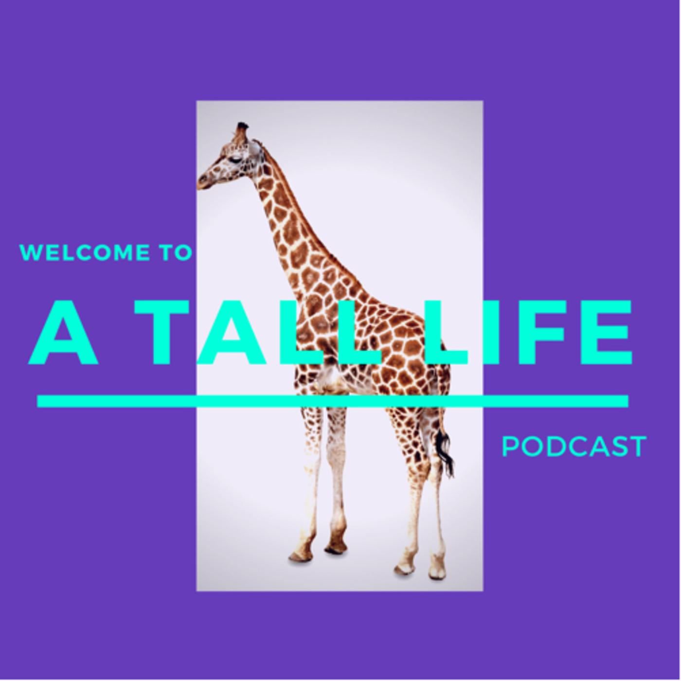2024 Tall Girl Check-In - A Tall Life (podcast) | Listen Notes