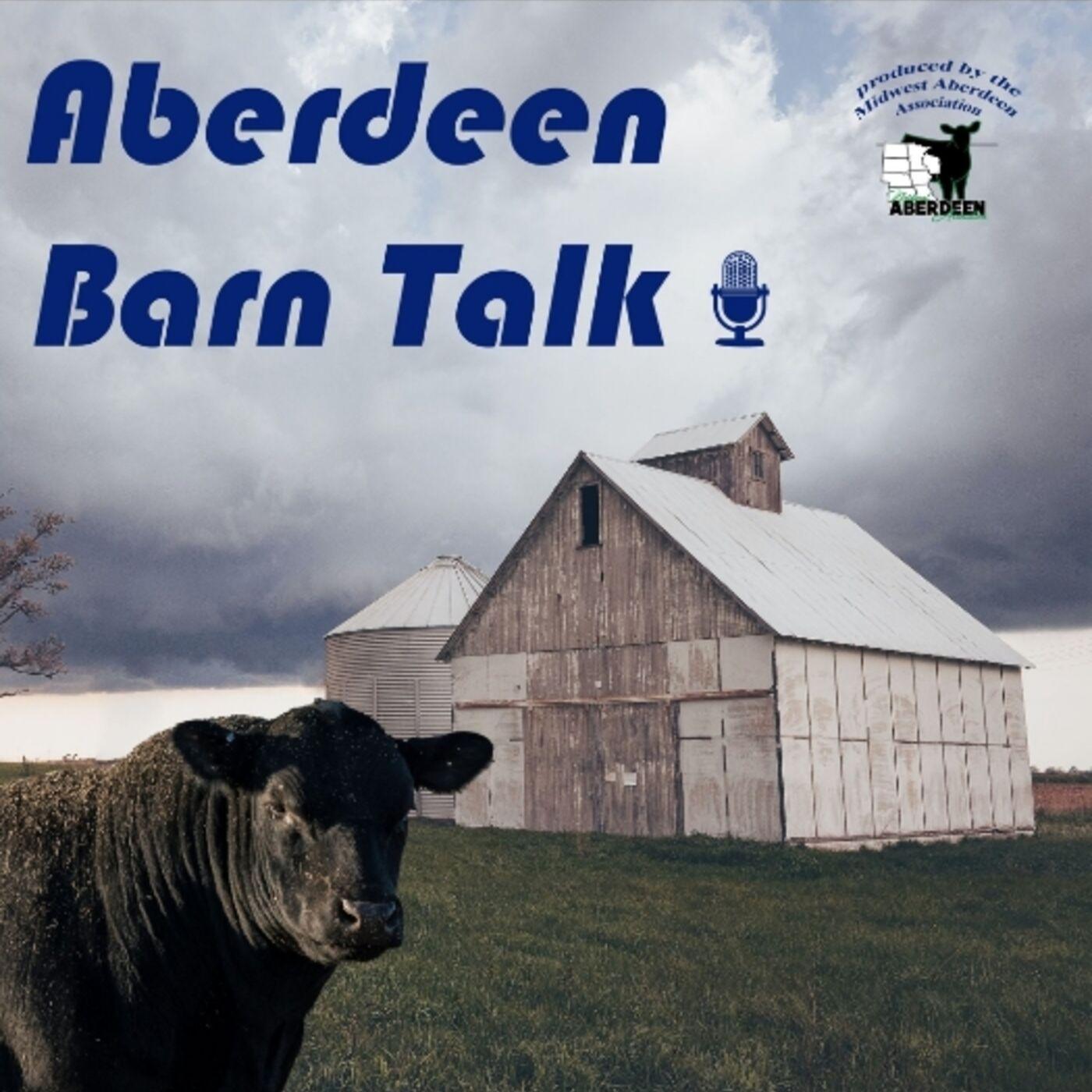 Cann Valley Cattle Co. - Matt Cooney - Aberdeen Barn Talk (podcast ...