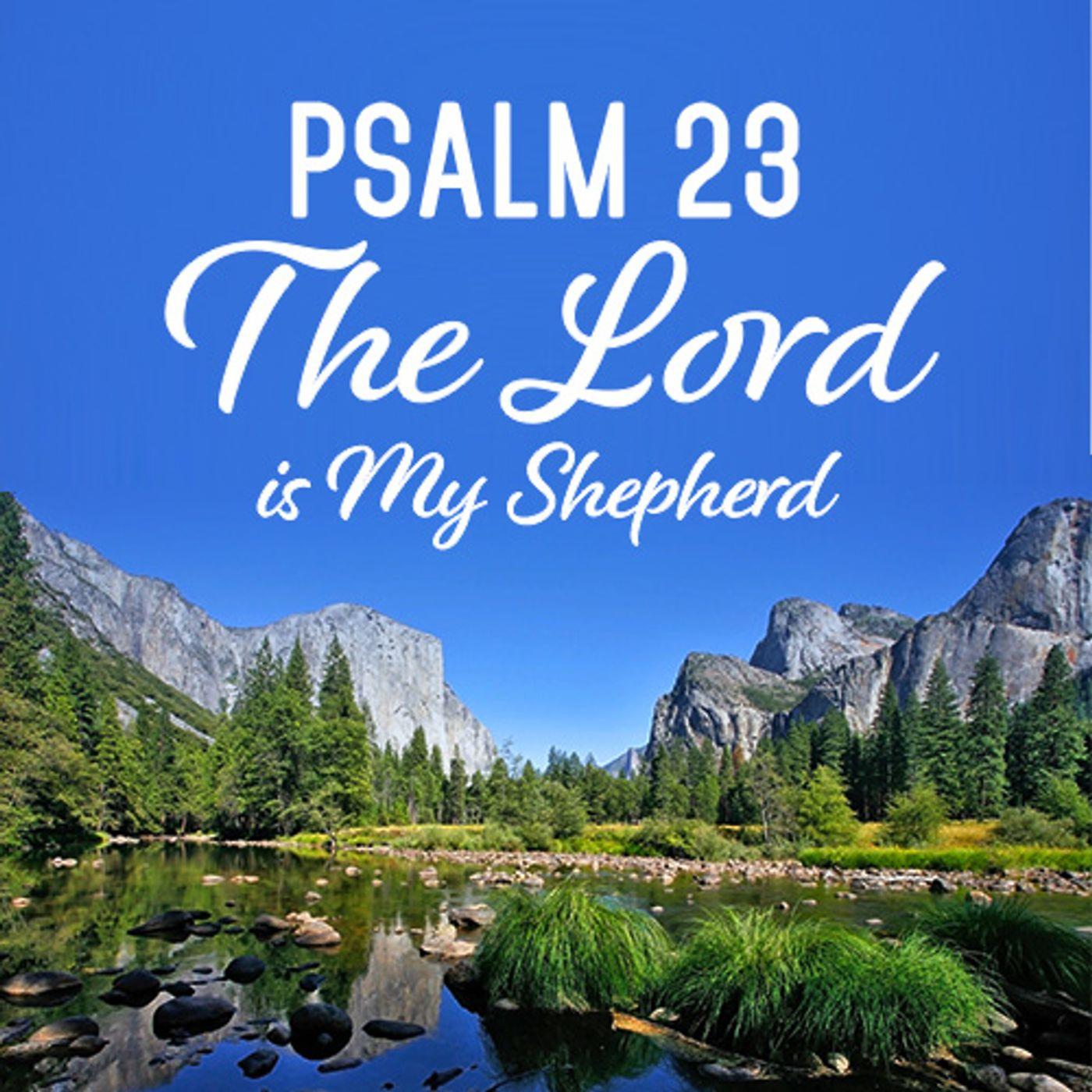 Psalm 23 The Lord Is My Shepherd - Abide Bible Sleep Meditation ...