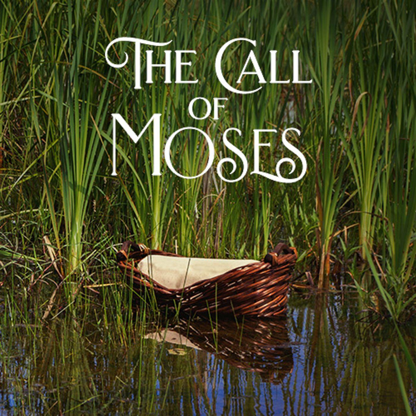 The Call of Moses - Abide Bible Sleep Meditation (podcast) | Listen Notes