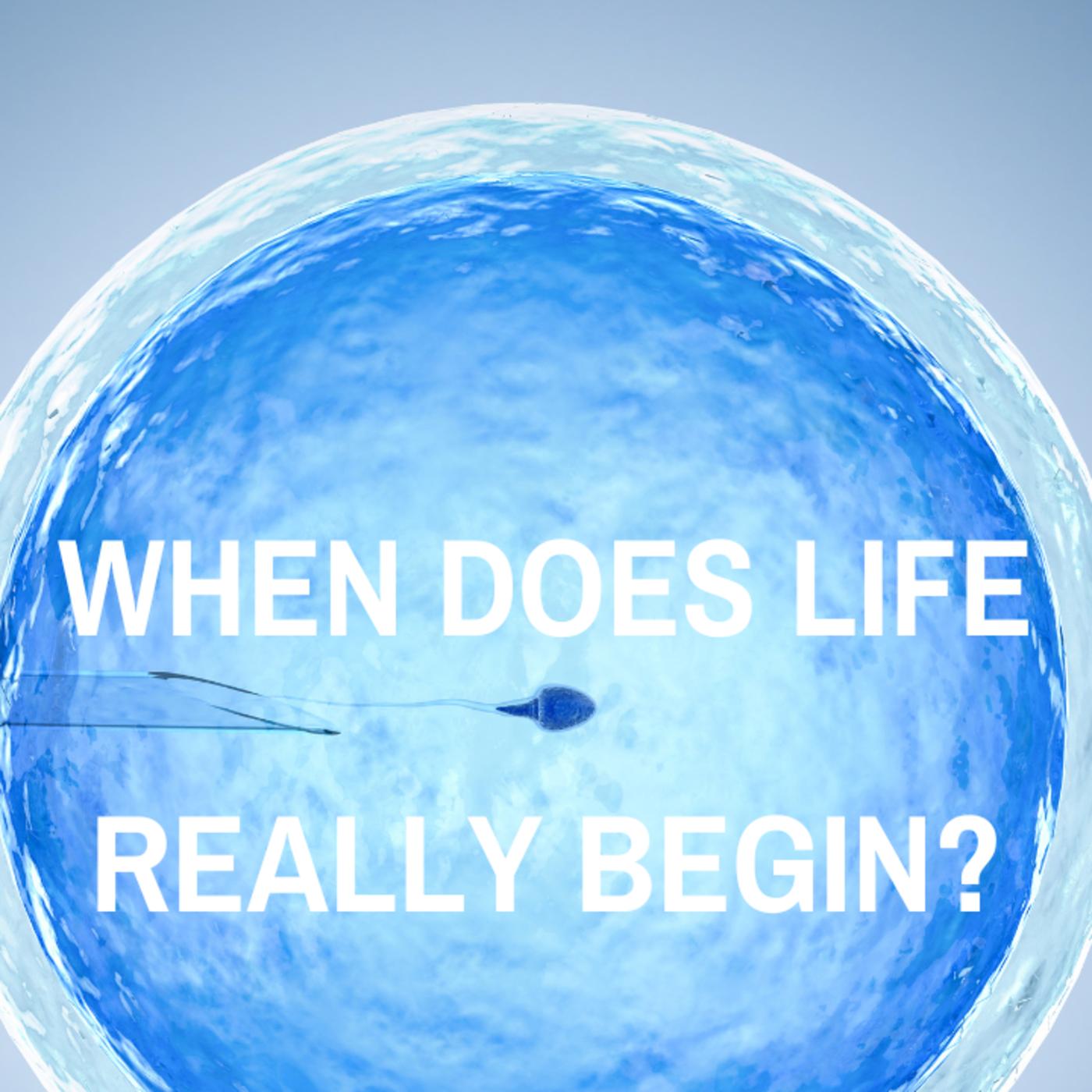 When does life REALLY begin? - About Abortion with Dave Brennan ...