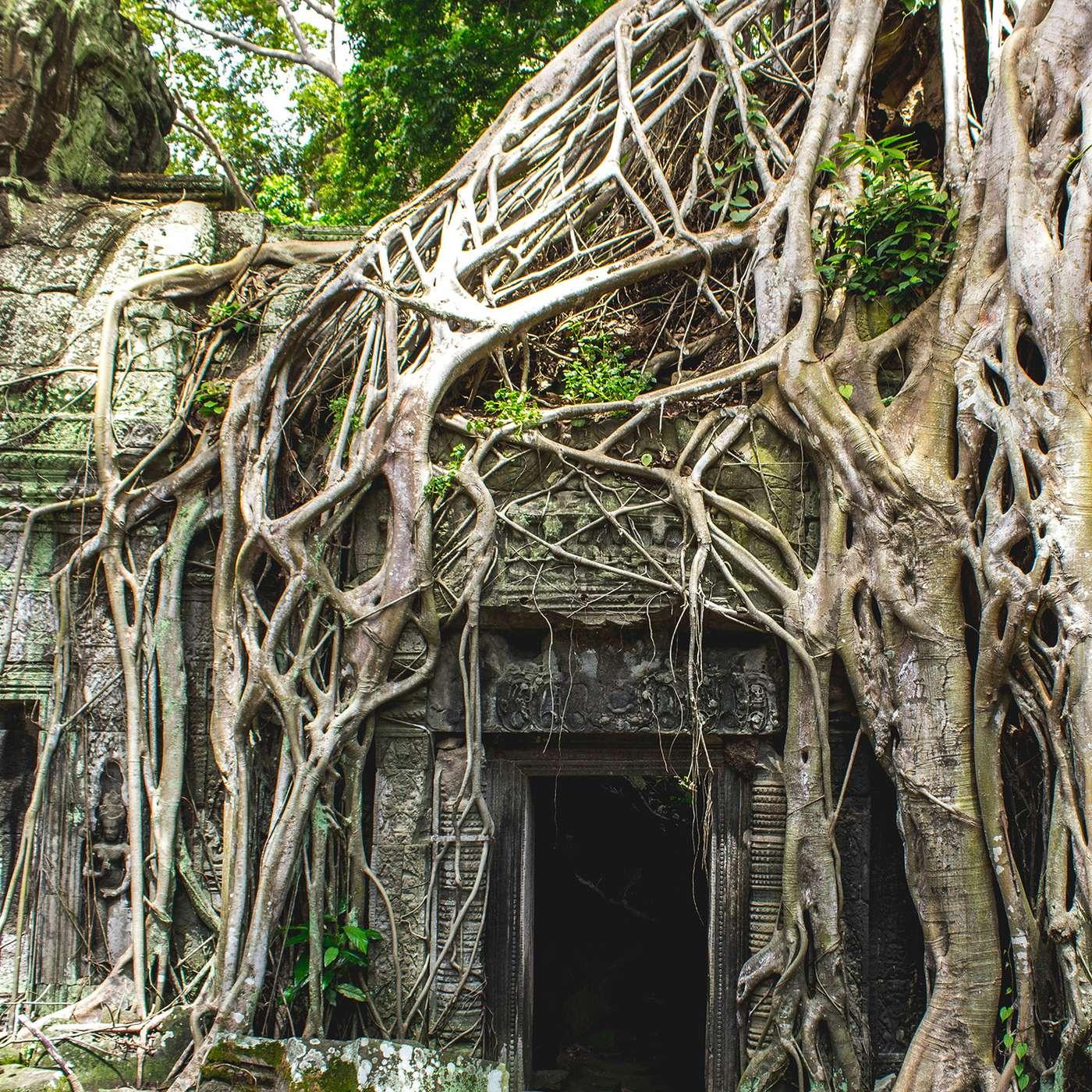 Building the roots of a world that will work - with Victoria Hurth, co ...