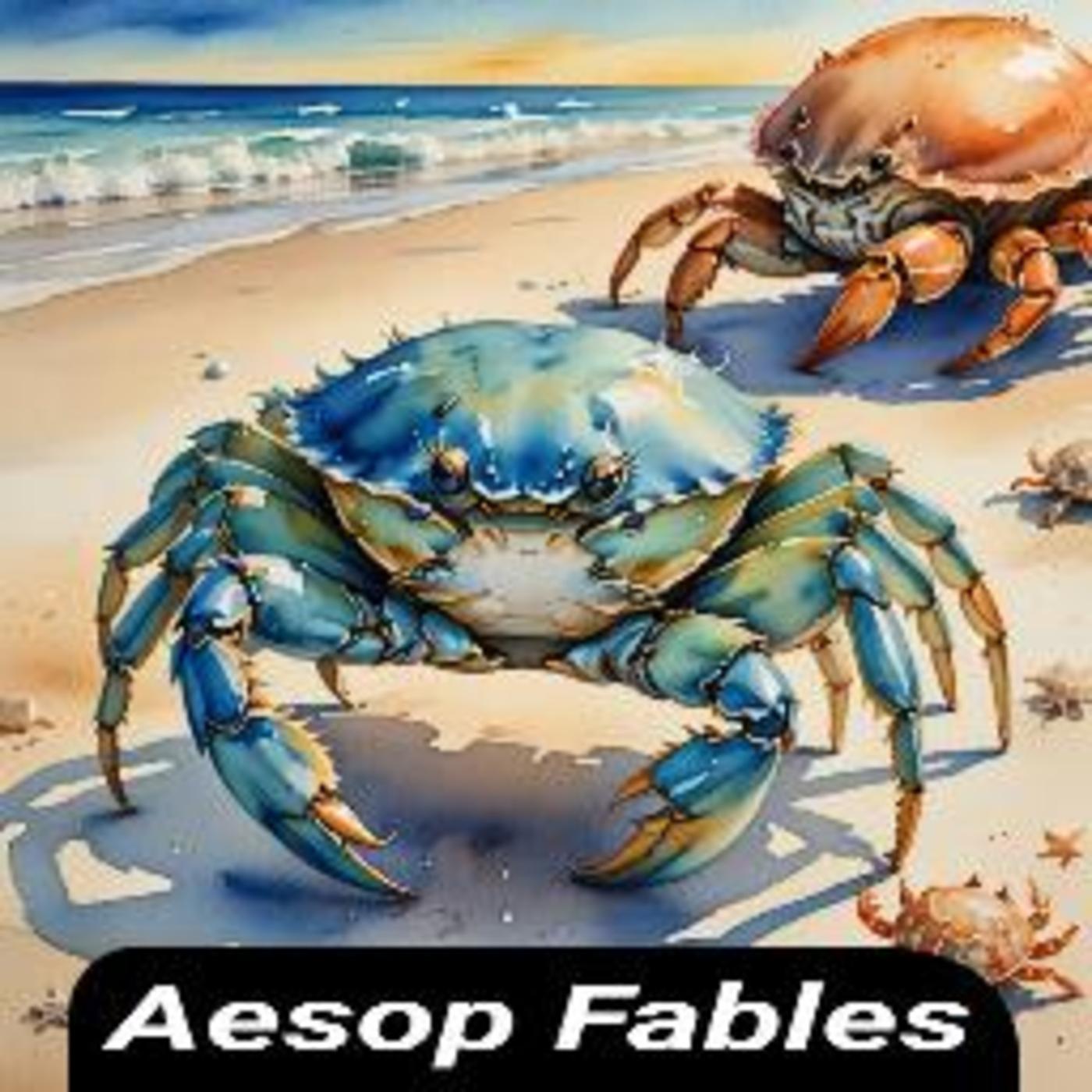 The Lion the Mouse and the Fox - Aesop Fables Kids Story Short Stories ...