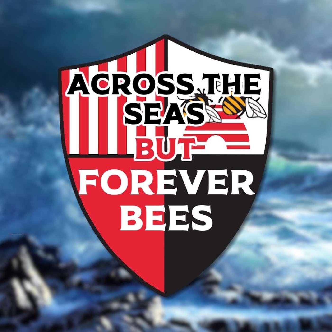 The Bees in America 1 - Across the Seas but Forever Bees - An American ...