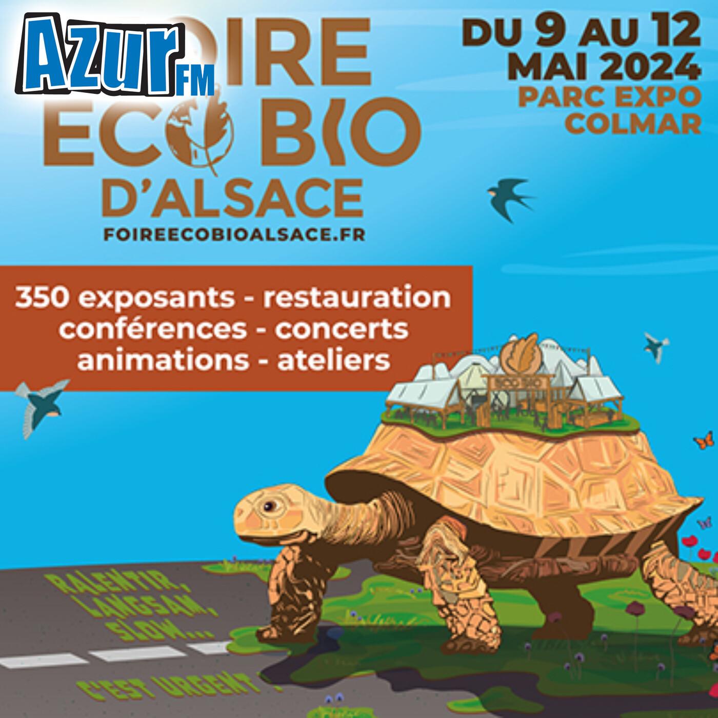 Foire Eco Bio 2024 : Jean-François Pierdet, au sujet de l'espace lutte ...