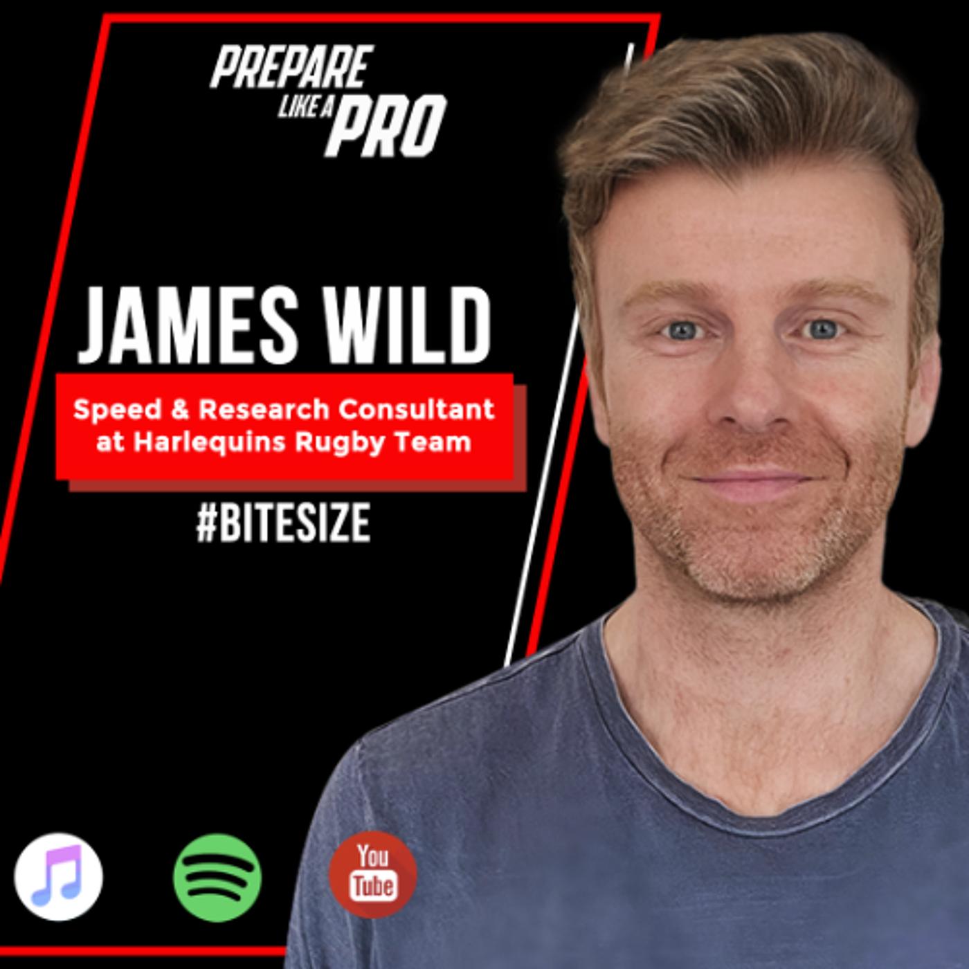 #60 - Alex Clarke, the Athletic Development Coach for the Cronulla ...