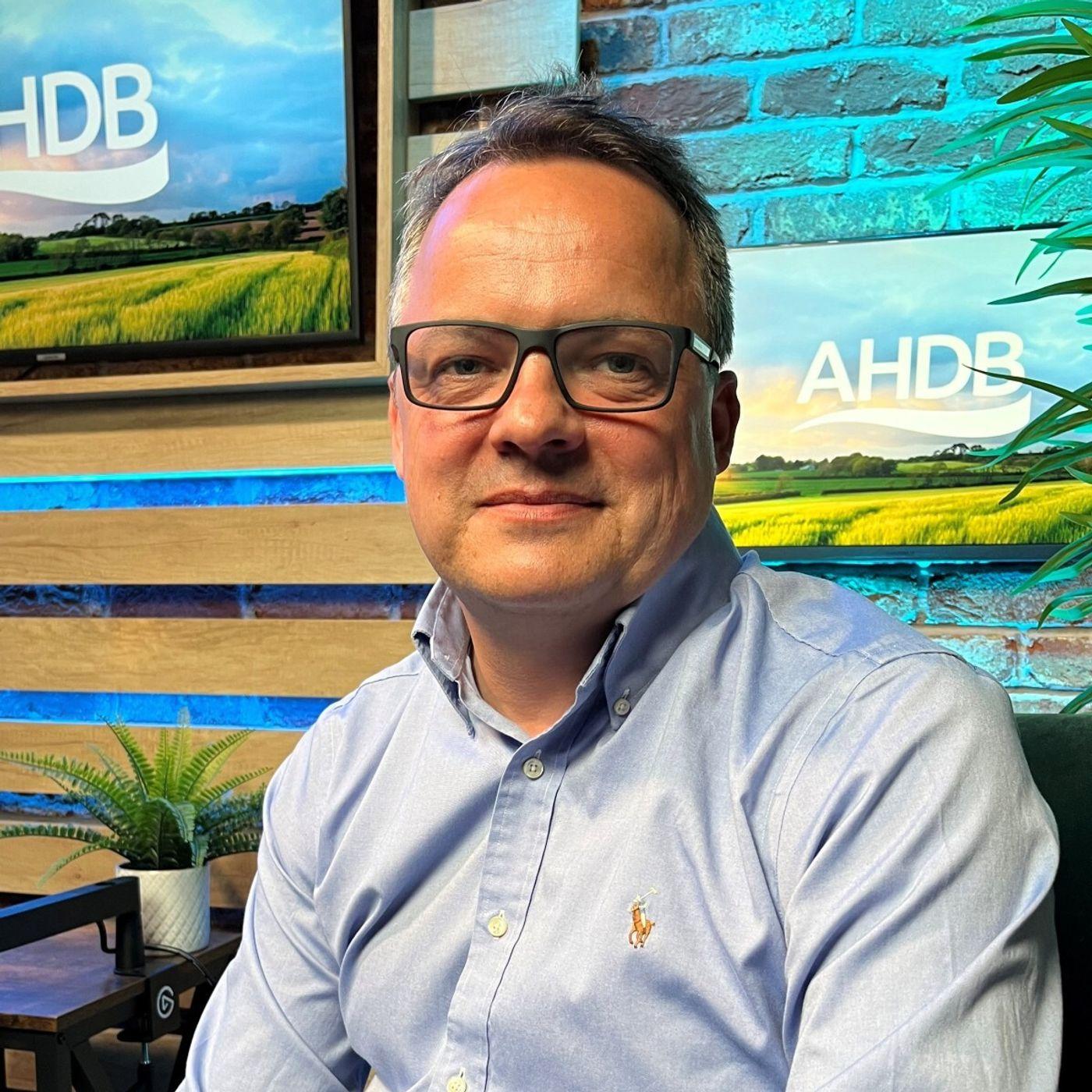 183: Cabbage stem flea beetle management in oilseed rape | Listen Notes