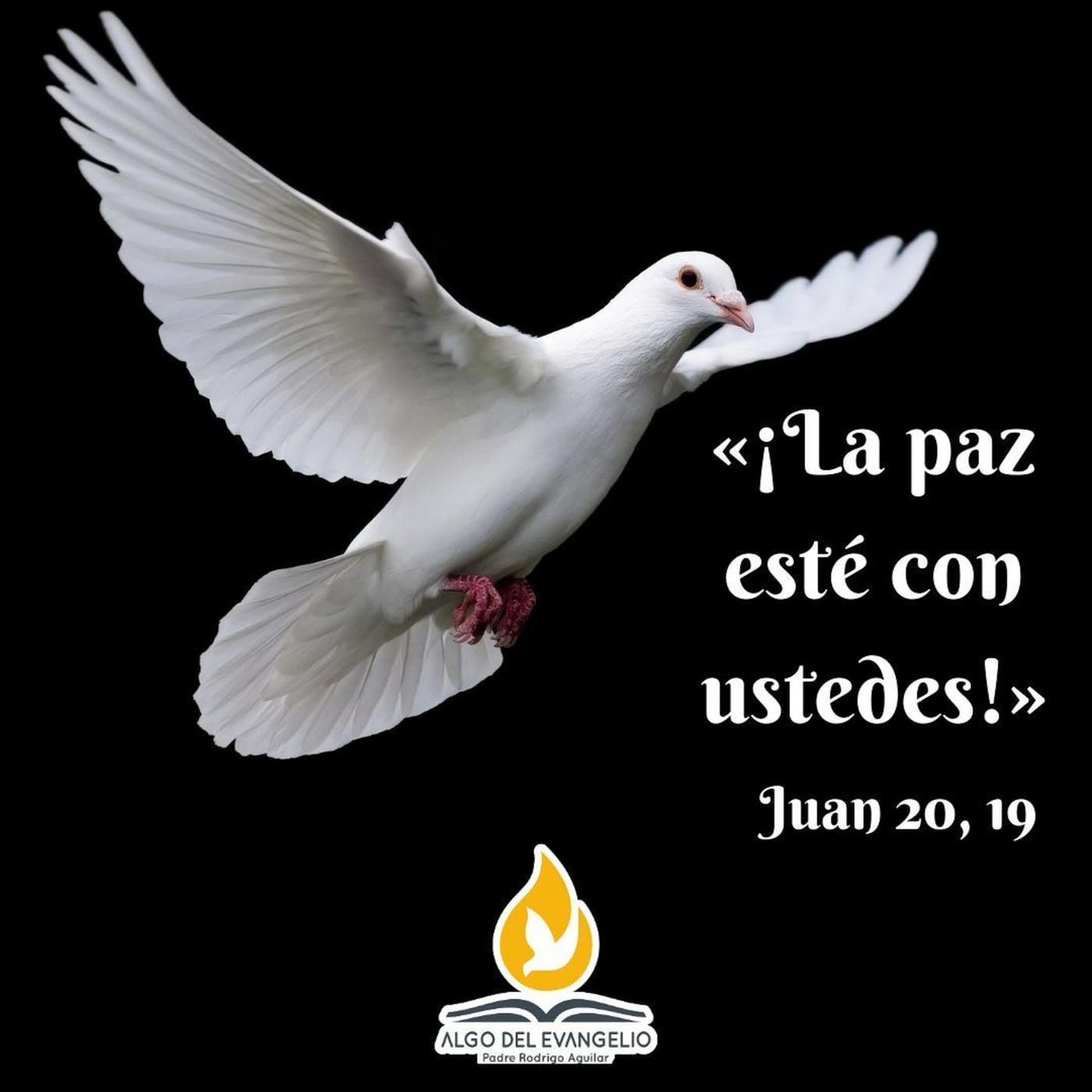 Juan 20, 19-31 - II Domingo de Pascua - Algo del Evangelio (Podcast ...