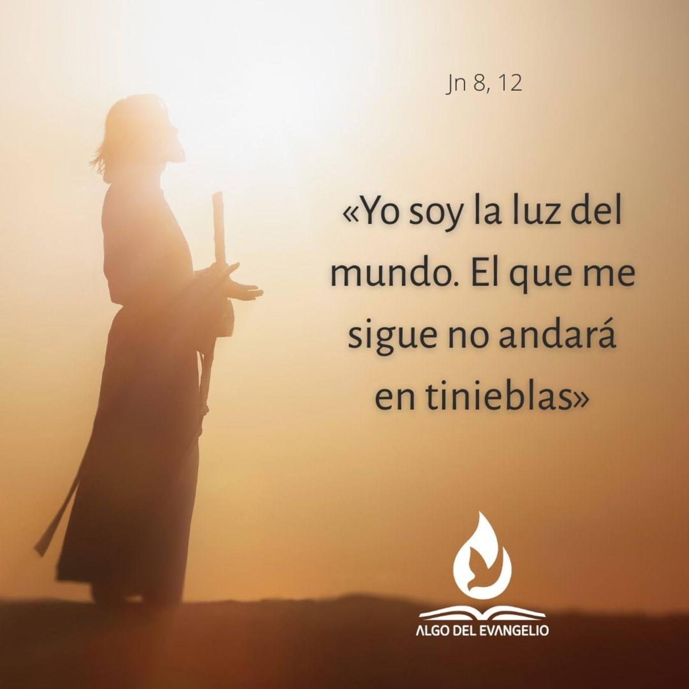 Juan 15, 12-17 - V Viernes de Pascua - Algo del Evangelio - Padre ...