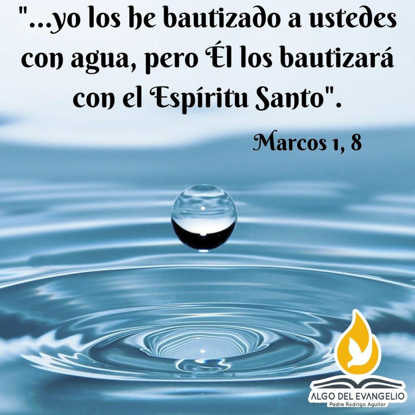 Marcos 1, 1-8 - II Domingo de adviento (B) - Algo del Evangelio - Padre ...