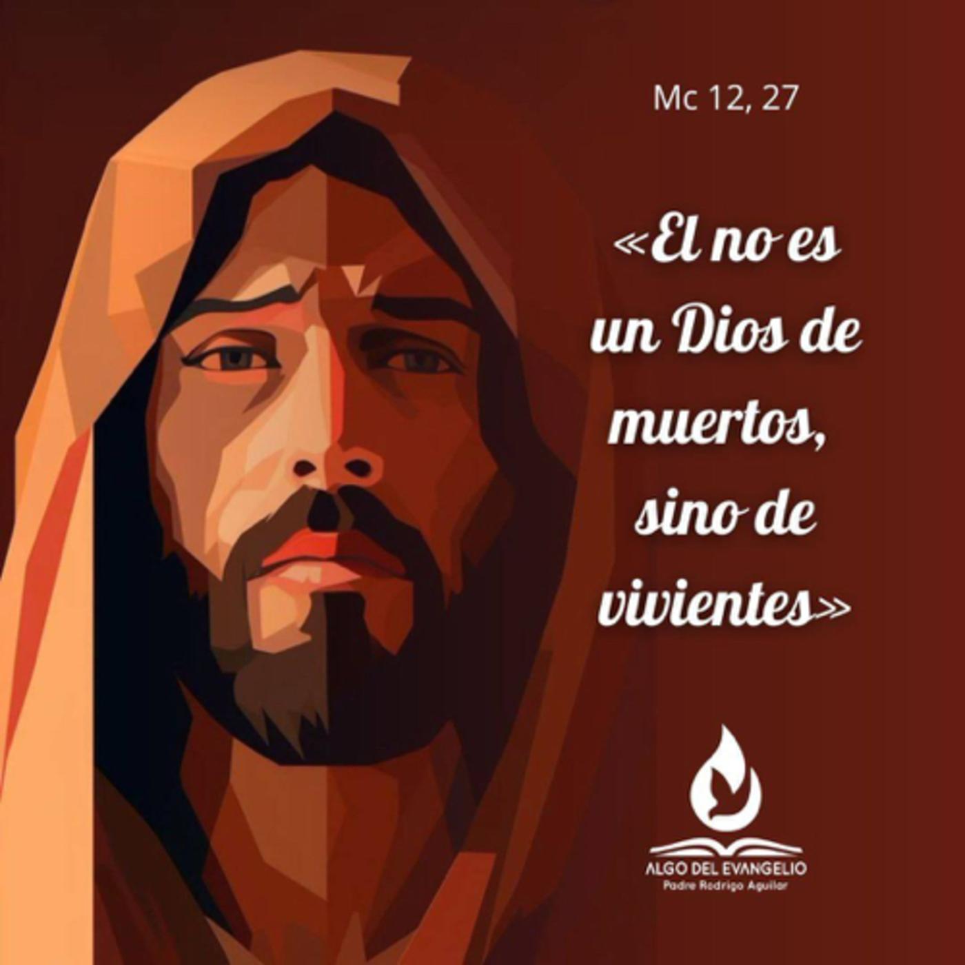 Lucas 12, 49-53 - XXIX Jueves del Tiempo Ordinario - Algo del Evangelio ...