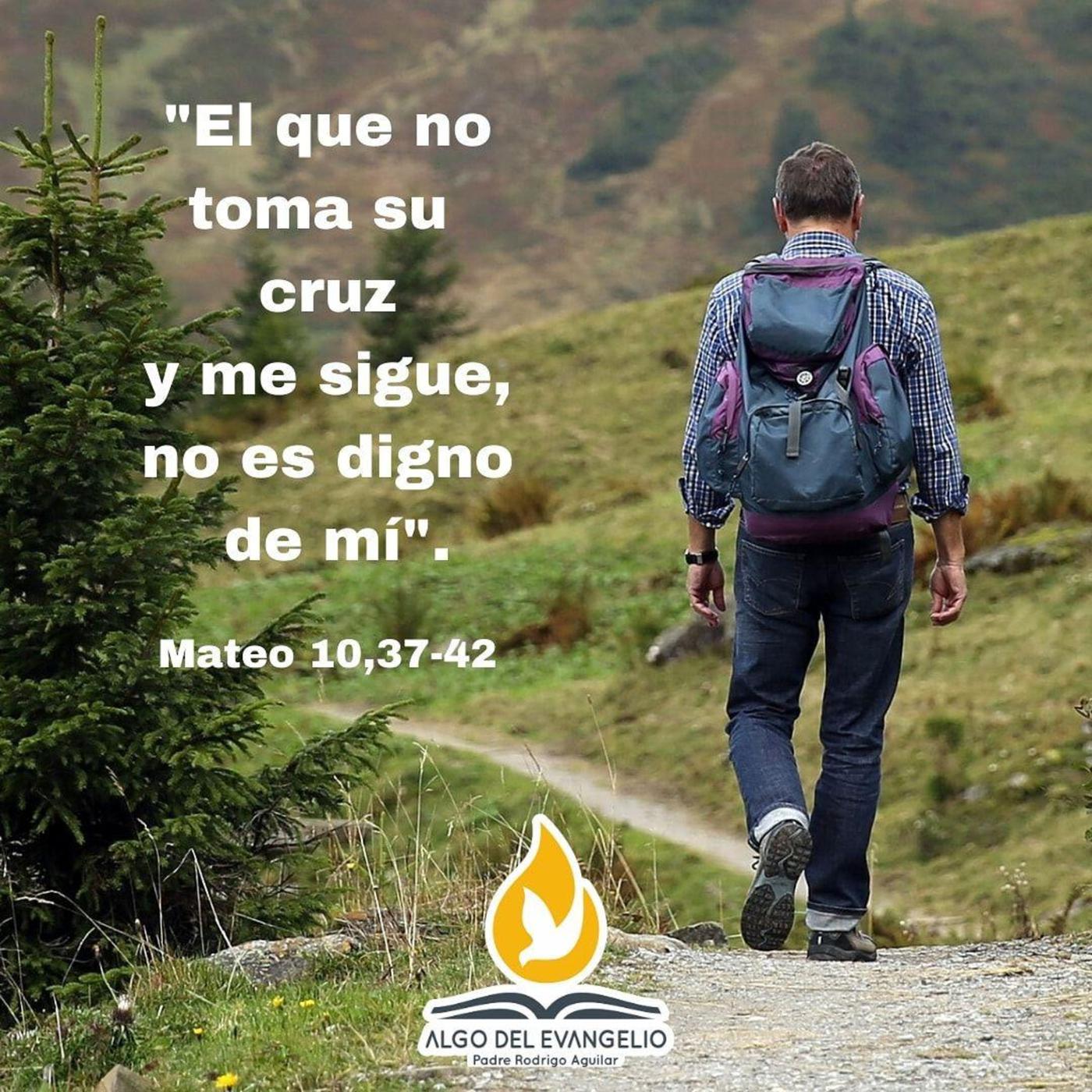 Mateo 10, 37-42 – XIII Domingo durante el año A - Algo del Evangelio - Padre Rodrigo Aguilar ...