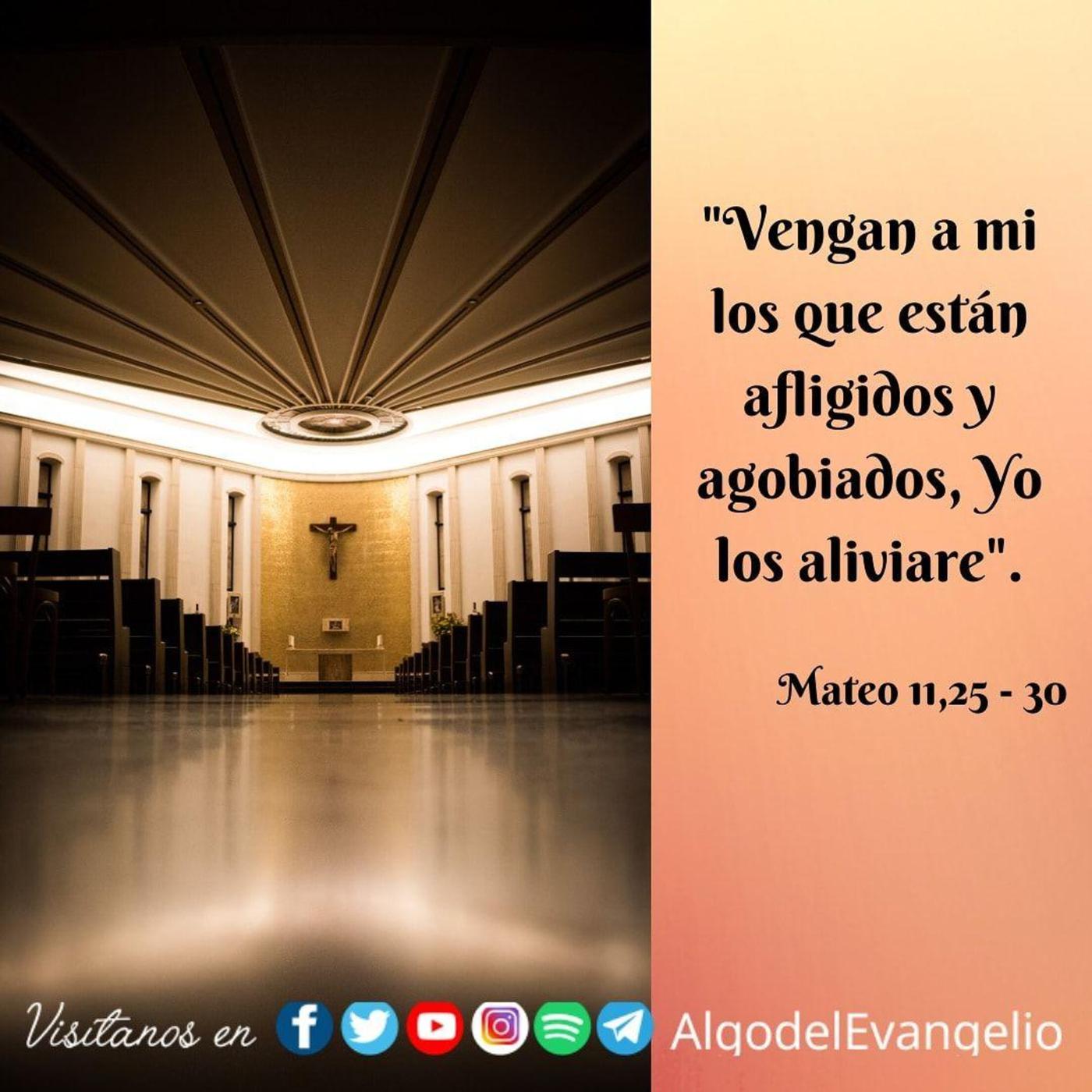 Mateo 11, 25-30 - Solemnidad del Sagrado Corazón (A) | Listen Notes