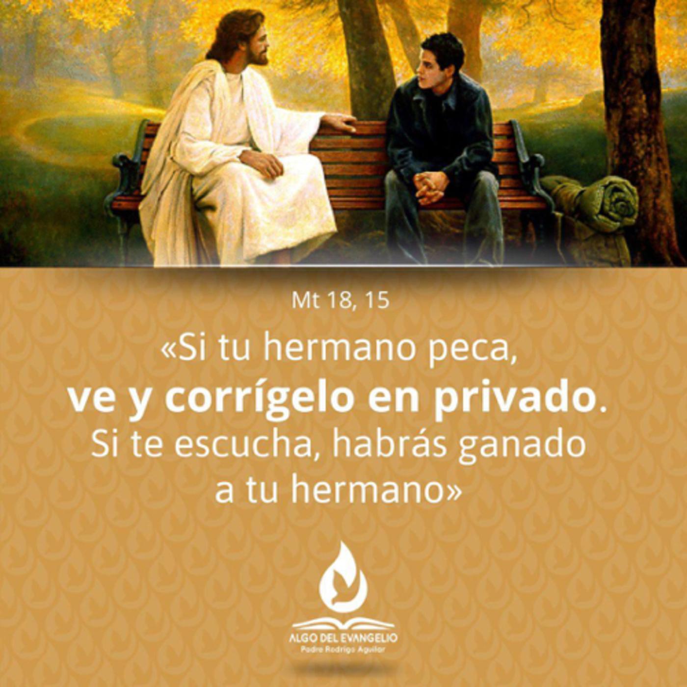 Mateo 18, 15-20 - XIX Miércoles del Tiempo Ordinario | Listen Notes