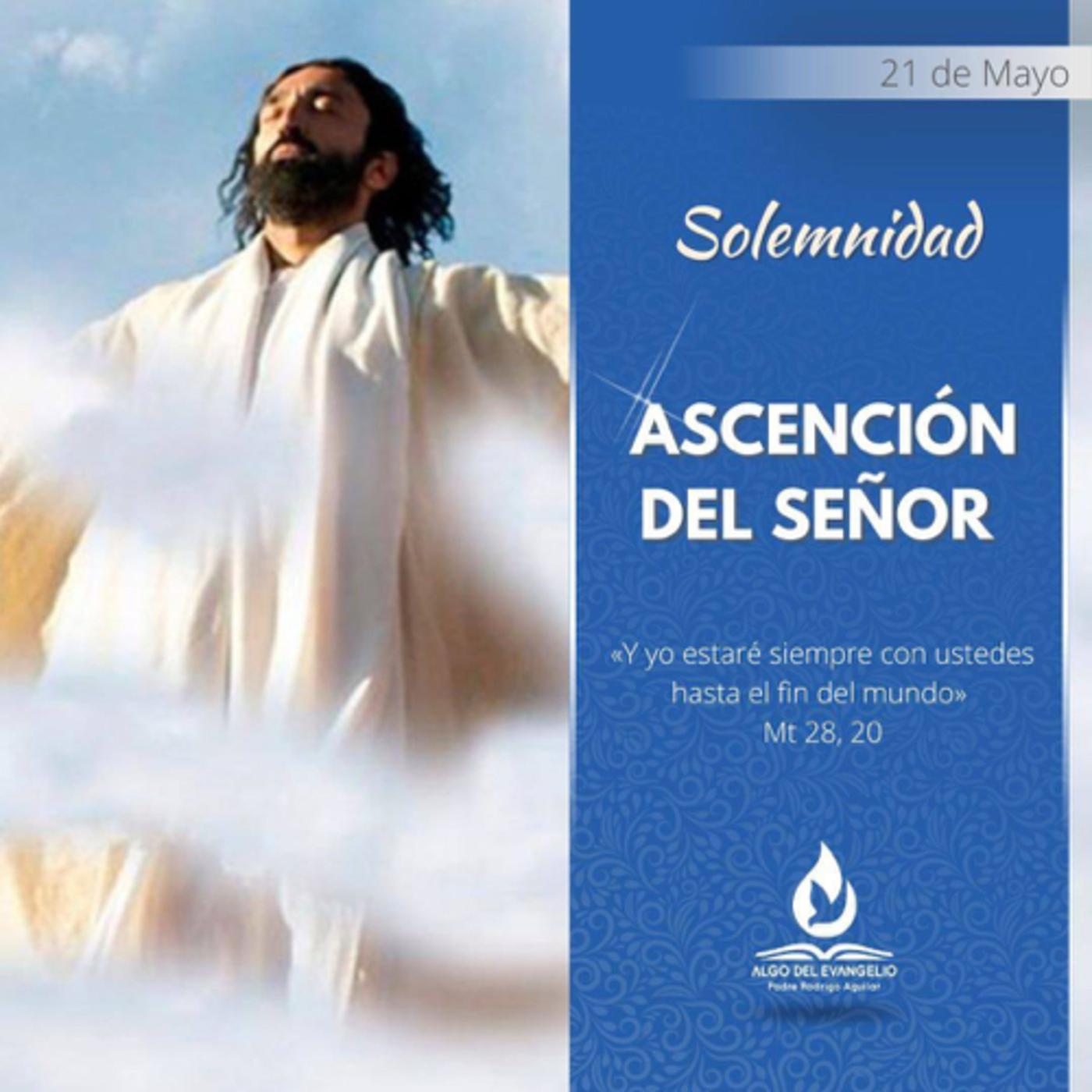 Mateo 28, 16-20 - Solemnidad de la Ascensión del Señor(A) | Listen Notes