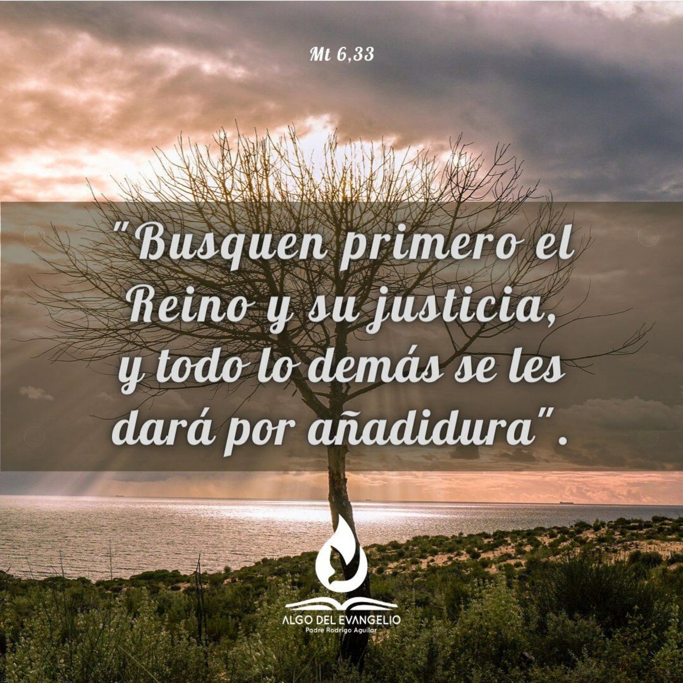Mateo 6, 24-34 - XI Sábado del Tiempo Ordinario - Algo del Evangelio ...