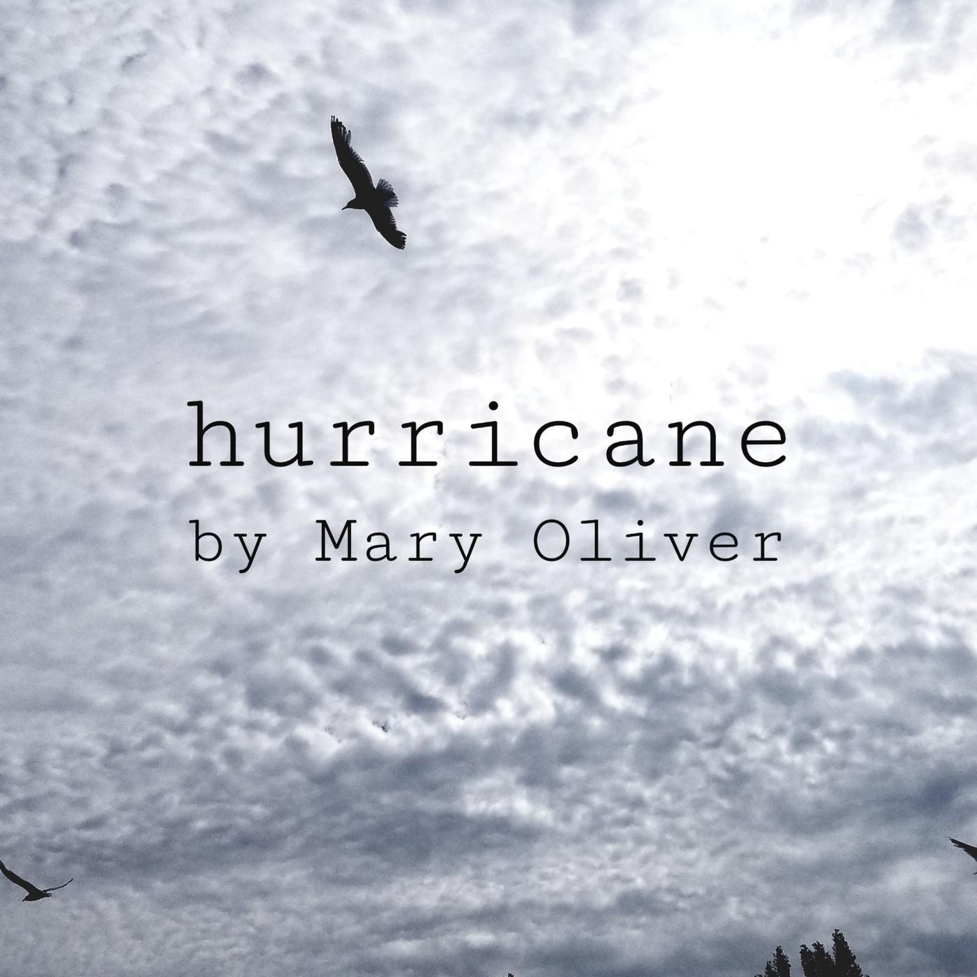 Hurricane by Mary Oliver - The Luminous Pause meditation, poetry, some ...