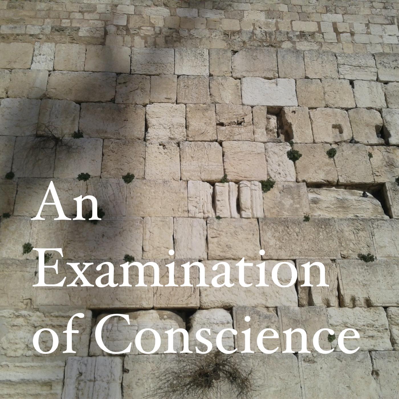 An Examination of Conscience (podcast) - The Sword of Saint George ...