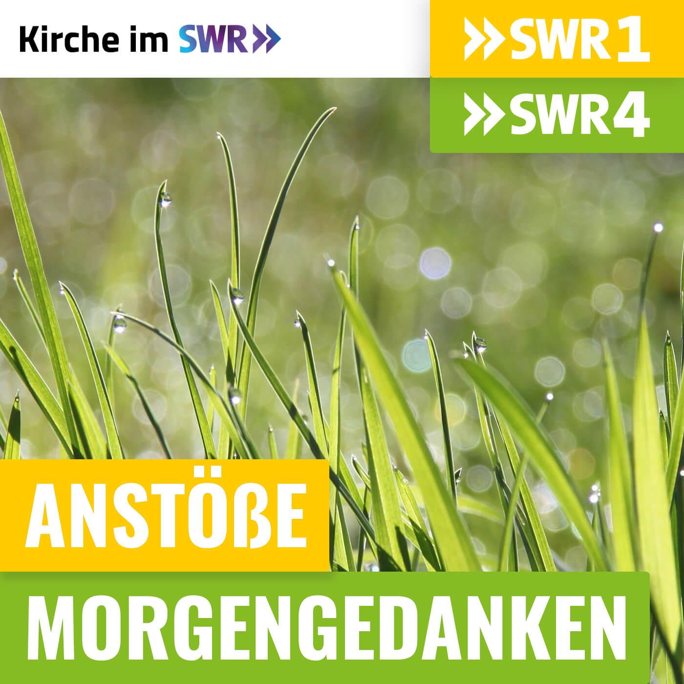 03. Februar 2025: Hol mich hier raus - Anstöße SWR1 BW / Morgengedanken ...