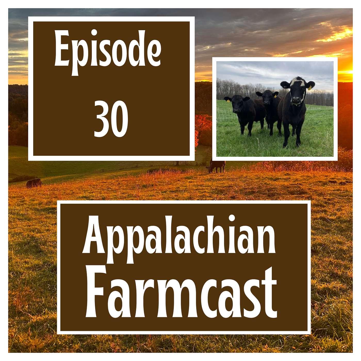 Episode 3 Farm Names and Electric Netting Talk - Appalachian Farmcast ...