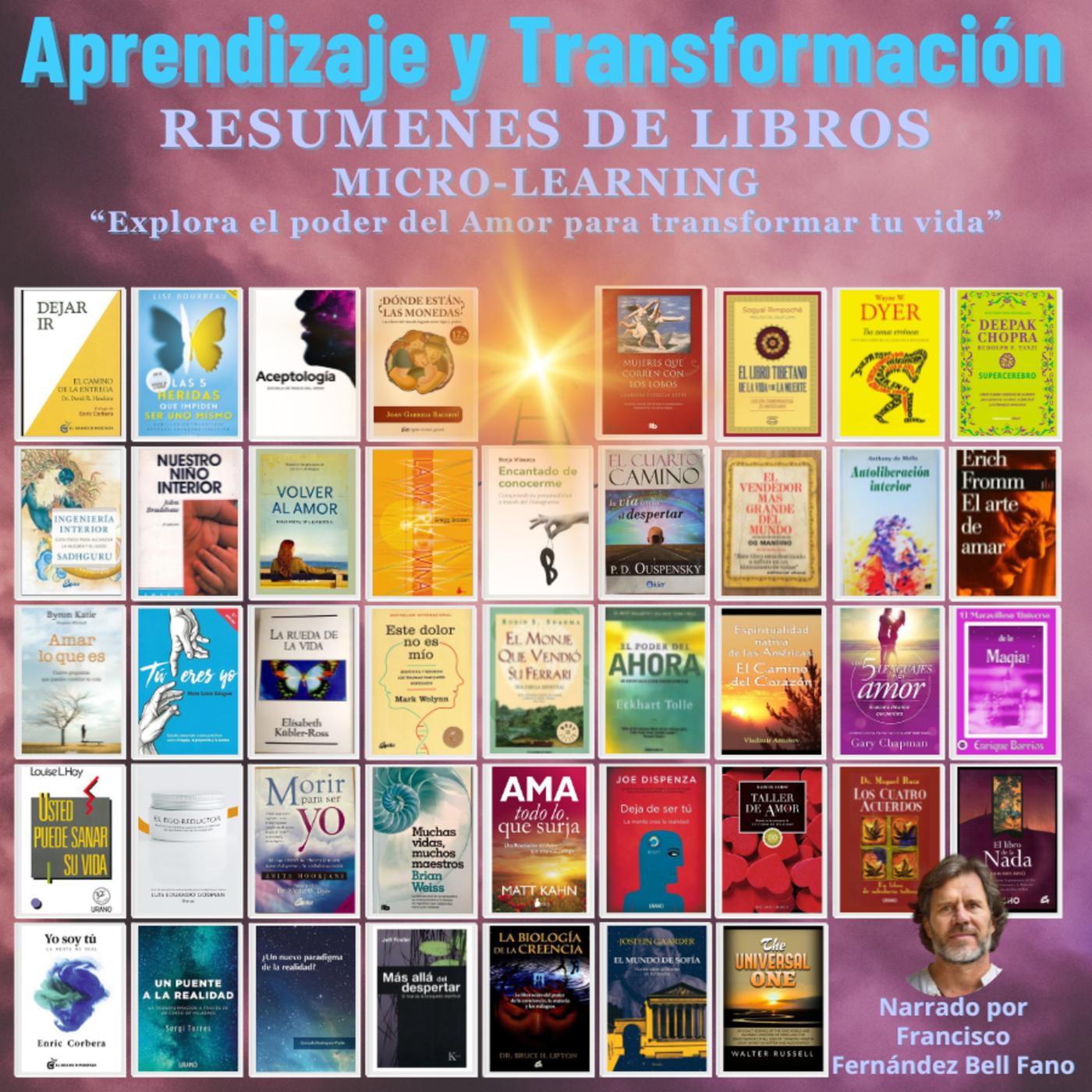 El caballero de la armadura oxidada - Robert Fisher - Síntesis de libro ...