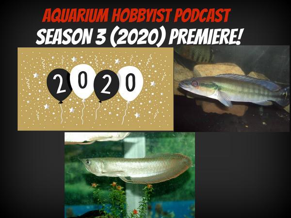 Project Piaba Buy A Fish Save A Tree - Aquarium Hobbyist Podcast ...
