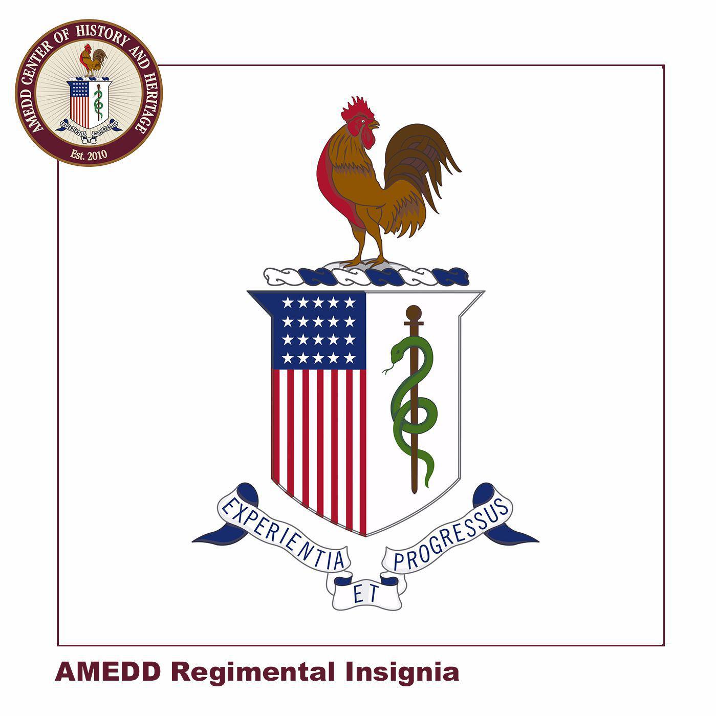 AMEDD - Regimental Insignia - Army Medicine History (podcast) | Listen ...