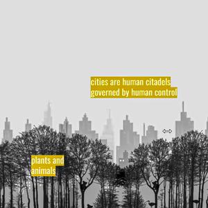 Multispecies Justice: Hira Sheikh and Marcus Foth - Artistic Research ...