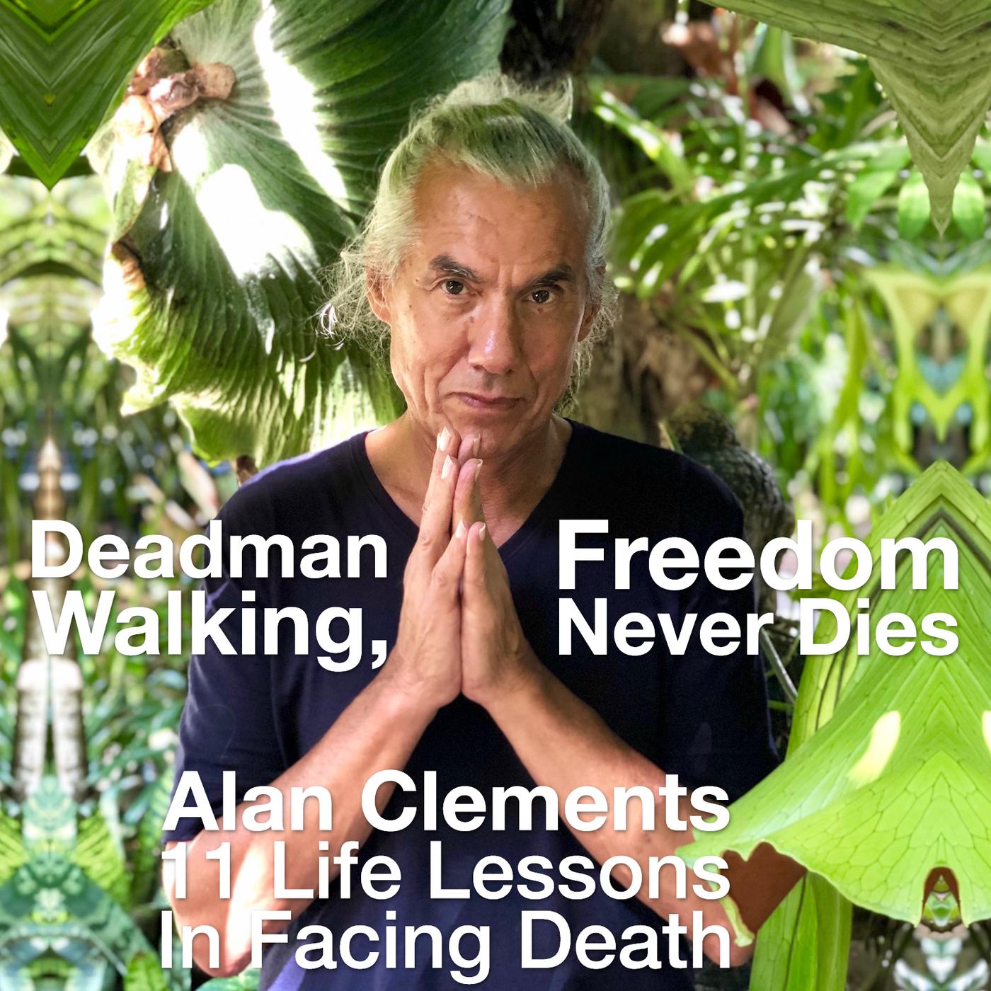 PT 9 of 11: # 9 Pursuing The Deathless (Nibbana) - As I See It with Alan Clements (podcast ...