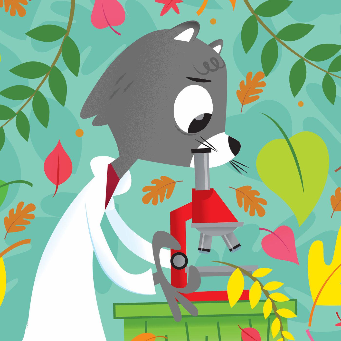 Explore Early Earth | Part 1: Meet a NASA Scientist | Listen Notes