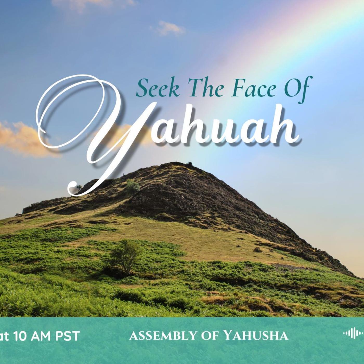 The Logos 33 - The Beatitudes - Assembly of Yahusha (podcast) | Listen ...