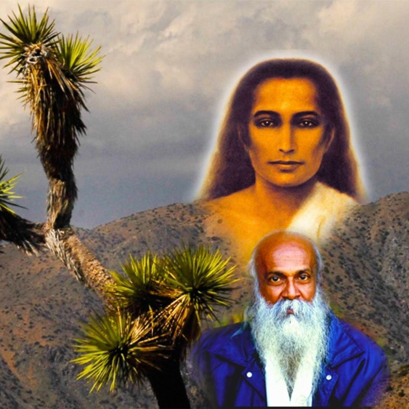 Babaji's Kriya Yoga Lectures of Yogi S.A.A. Ramaiah | Listen Notes