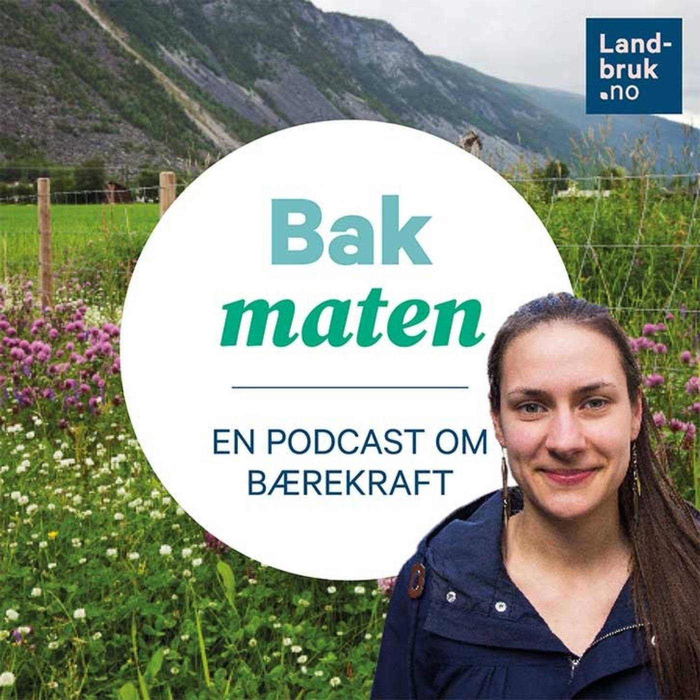 Karen Lykke Syse - Avstanden mellom dyr og kjøtt - Bak maten - en ...