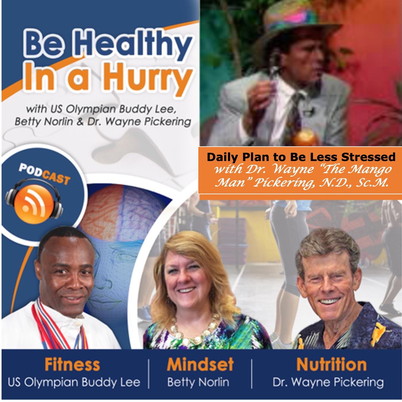 Daily Personal Development Time - Be Healthy in a Hurry Podcast ...