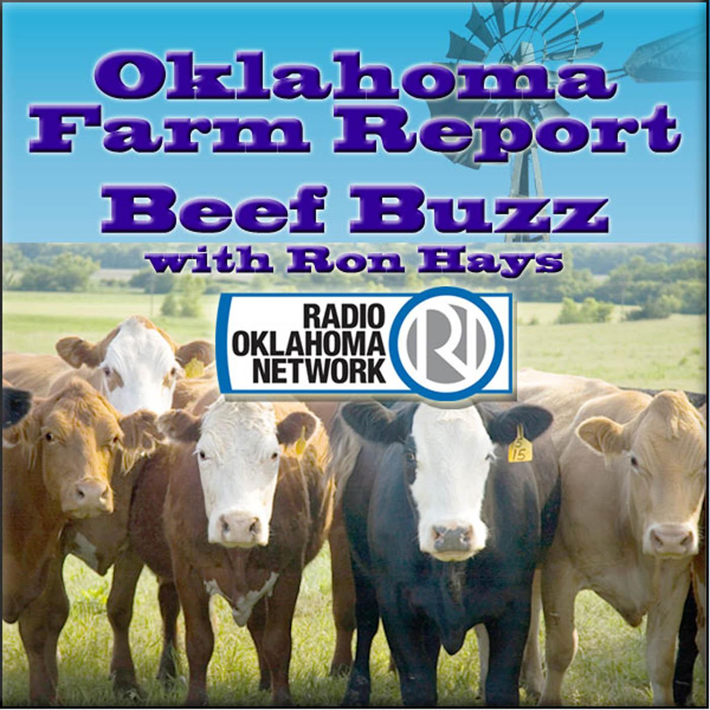 Outlook for 2025: Dr. Derrell Peel Discusses Future Trends in the Beef ...