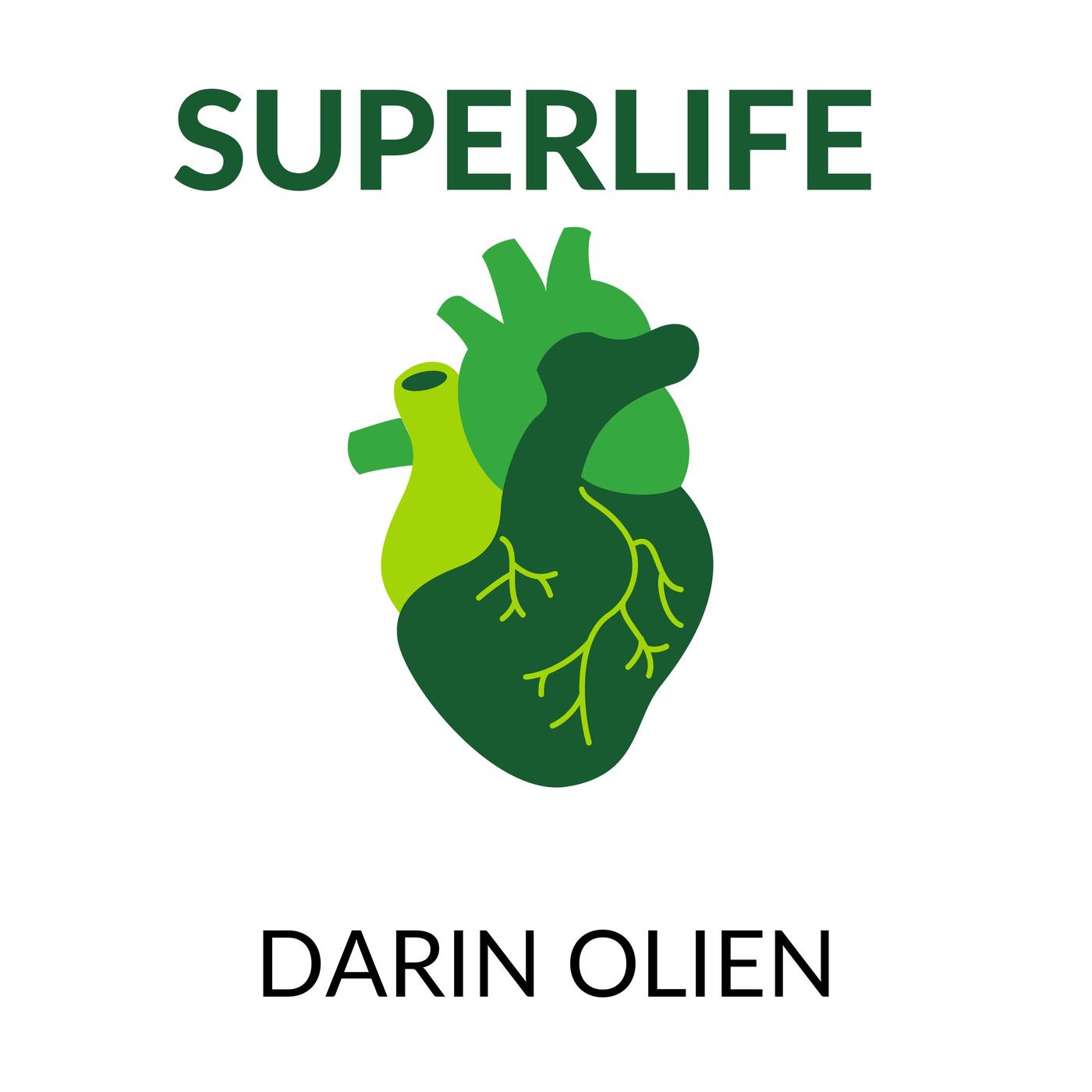 What it Takes by Stephen Schwarzman | Book Summary, Review and Analysis ...