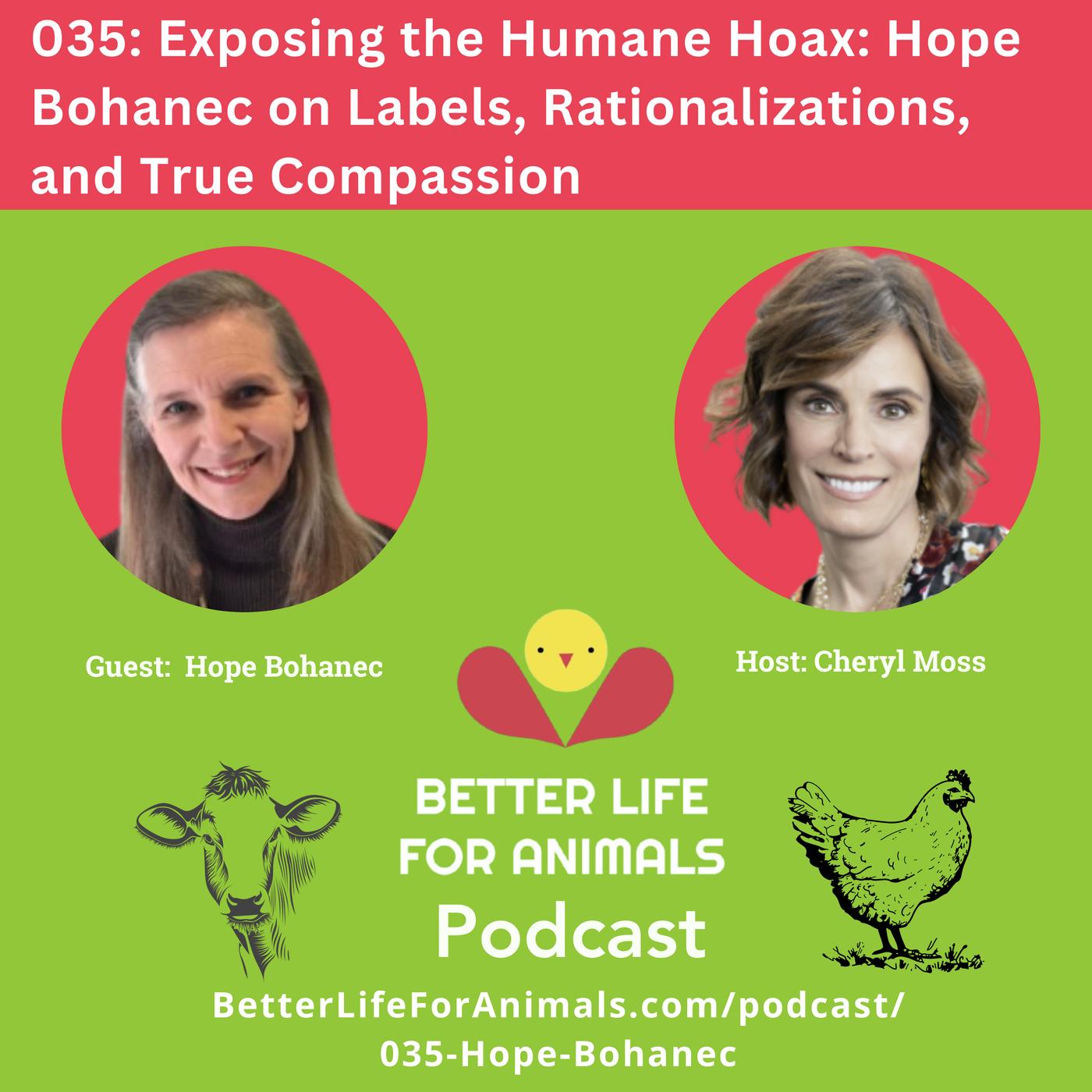 029: The Scientist Who's Reshaping the Animal Rights Movement with Dr ...
