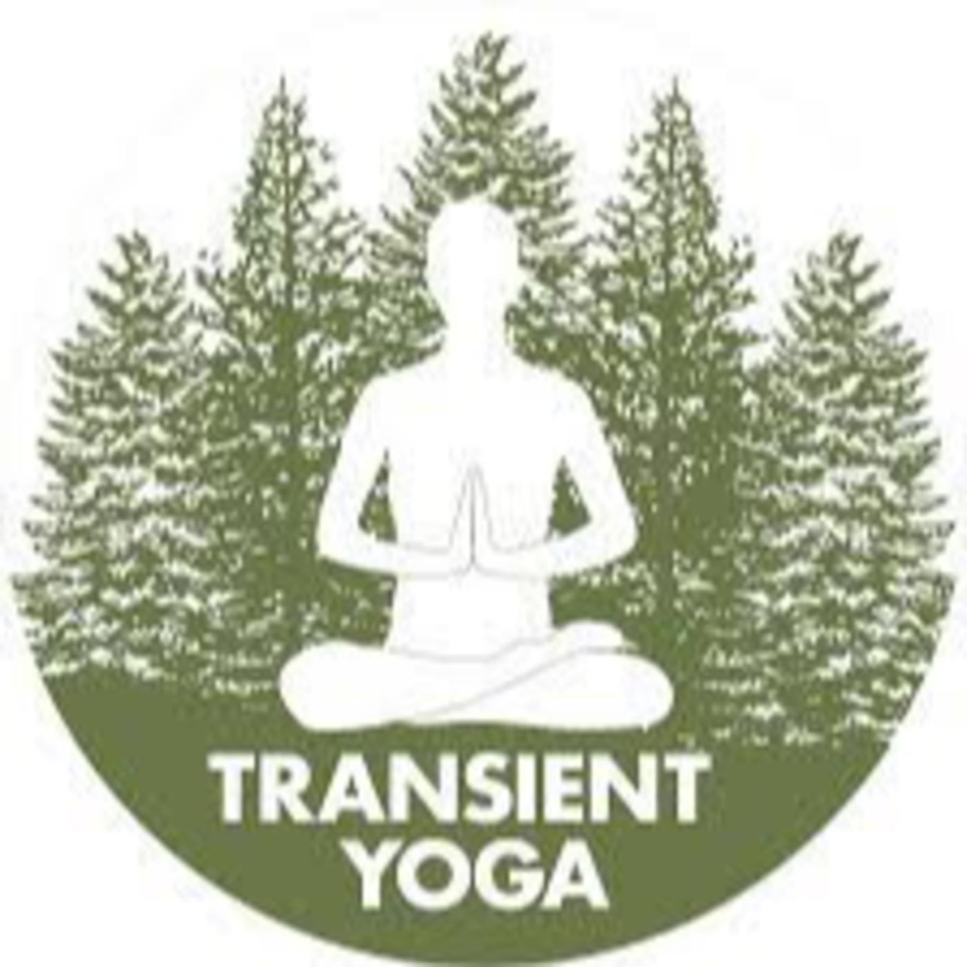 Episode 35: Transient Yoga with Courtney Wolfe - Bevvies on Tap: The ...