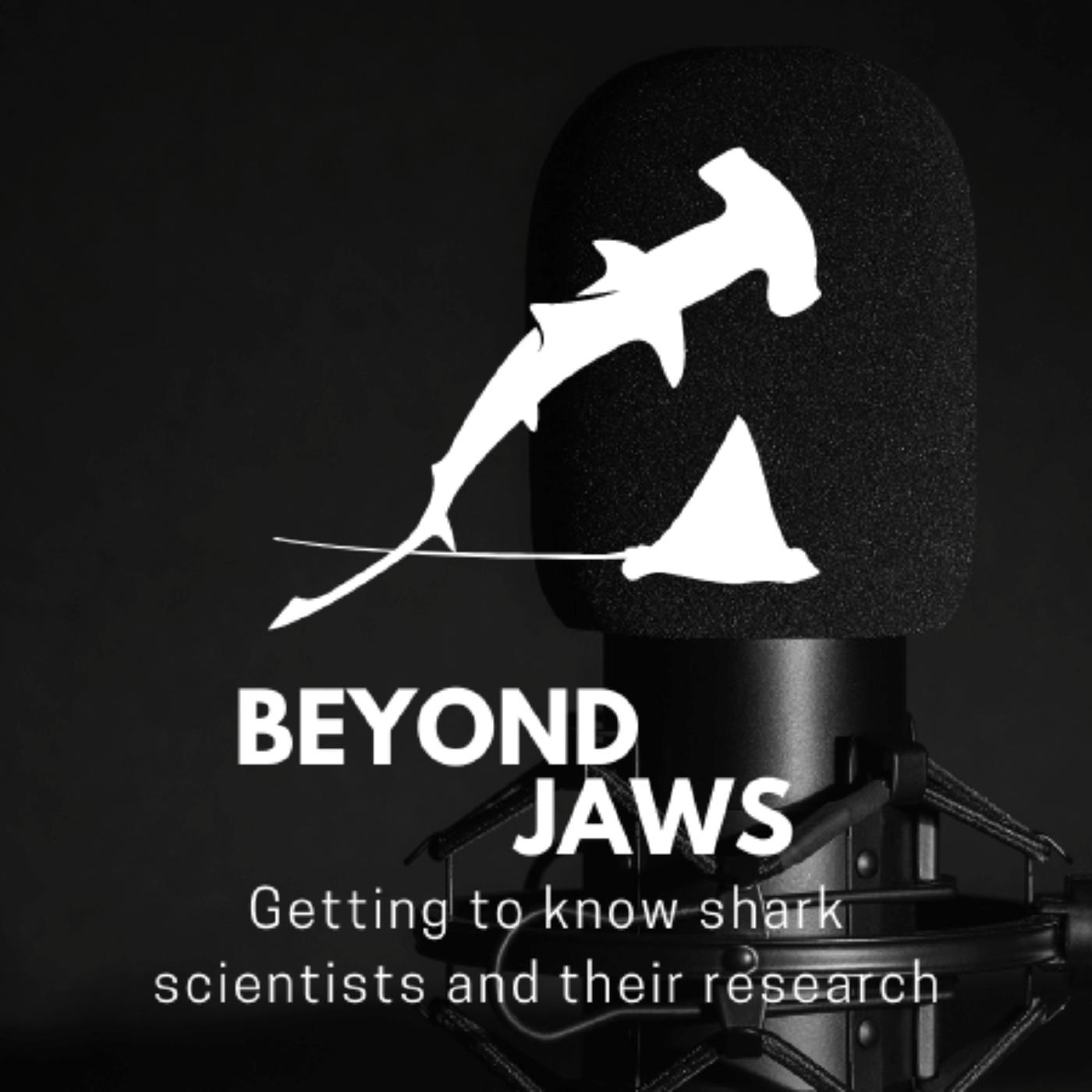Jaws 50th Anniversary: How a Movie Reshaped Shark Science Forever ...