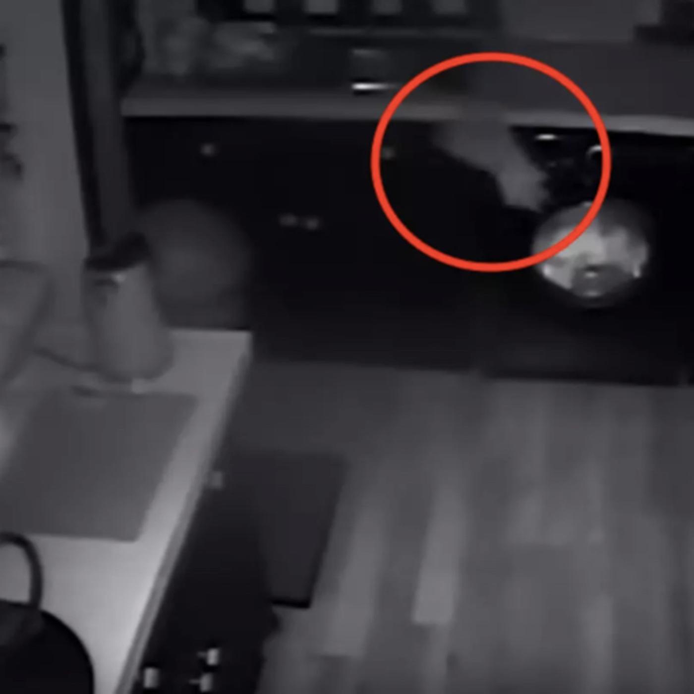 The Amherst Poltergeist Mystery - Esther Cox - - Beyond The Edge Of ...