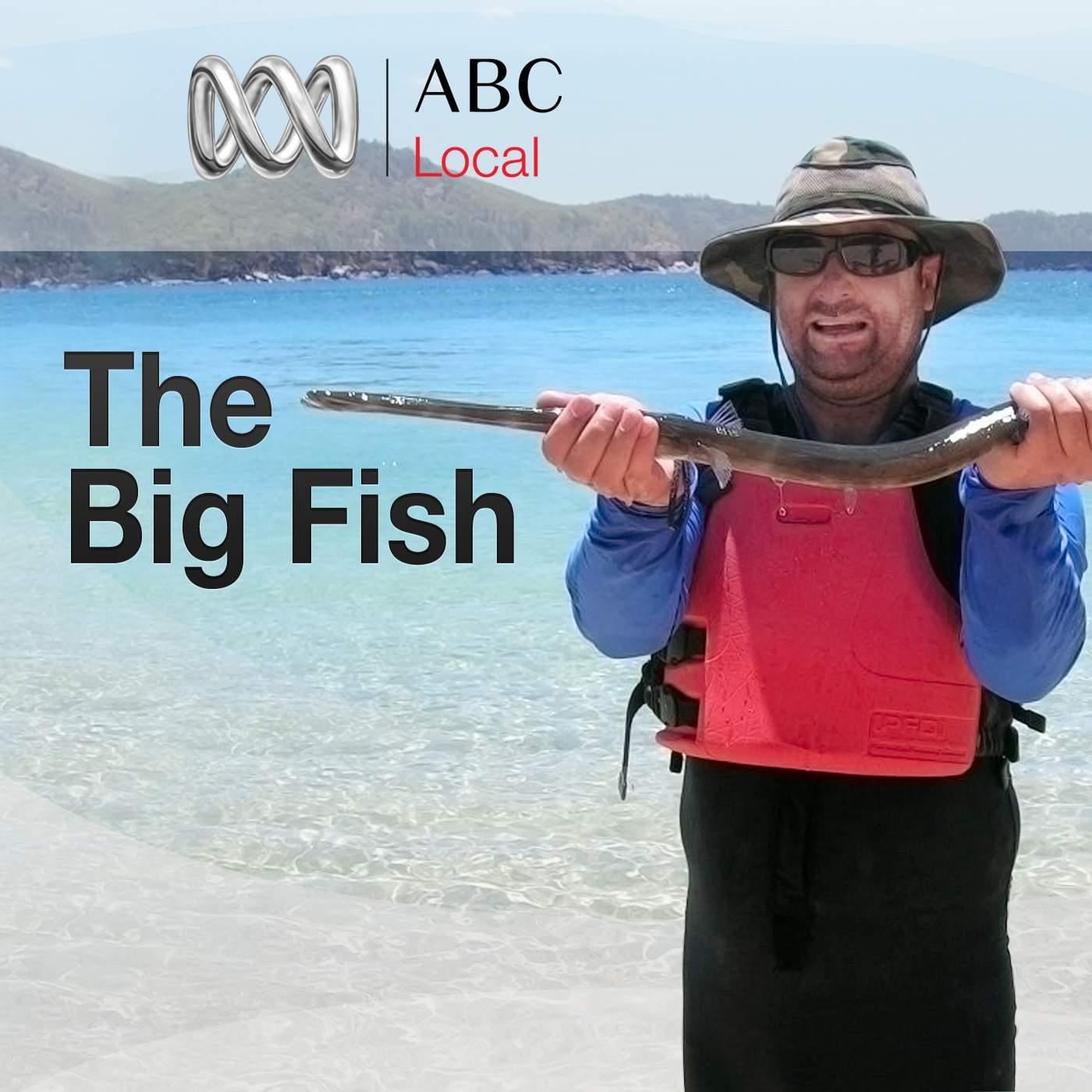 The Big Fish: The Disgusting truth behind a "39 Pound" Tassie Trout ...