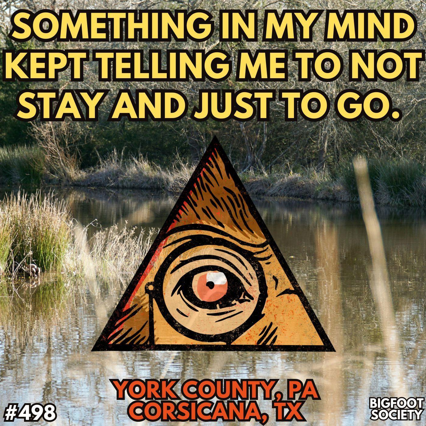 Learning from Dr. Grover Krantz and Sound Recorder advice for Beginner ...