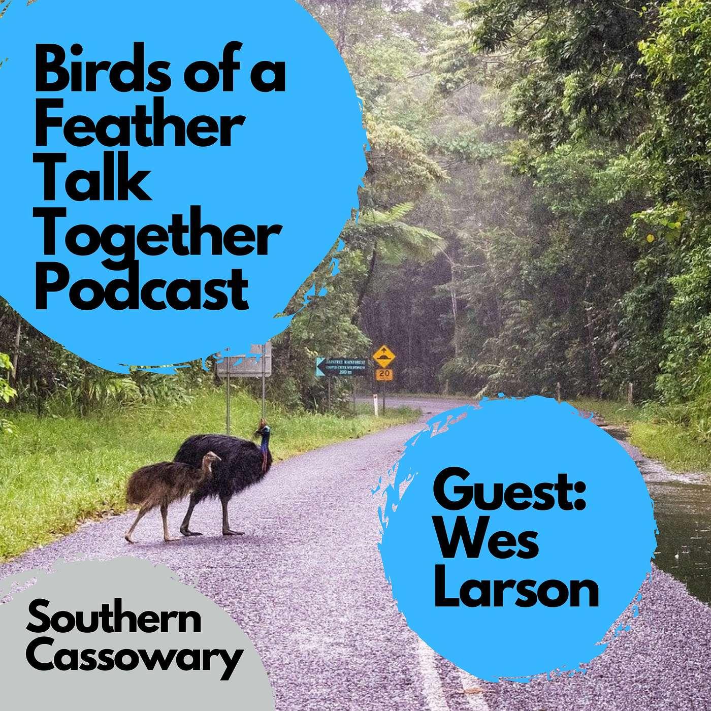 Birds of a Feather Talk Together (podcast) - John Bates, Shannon ...