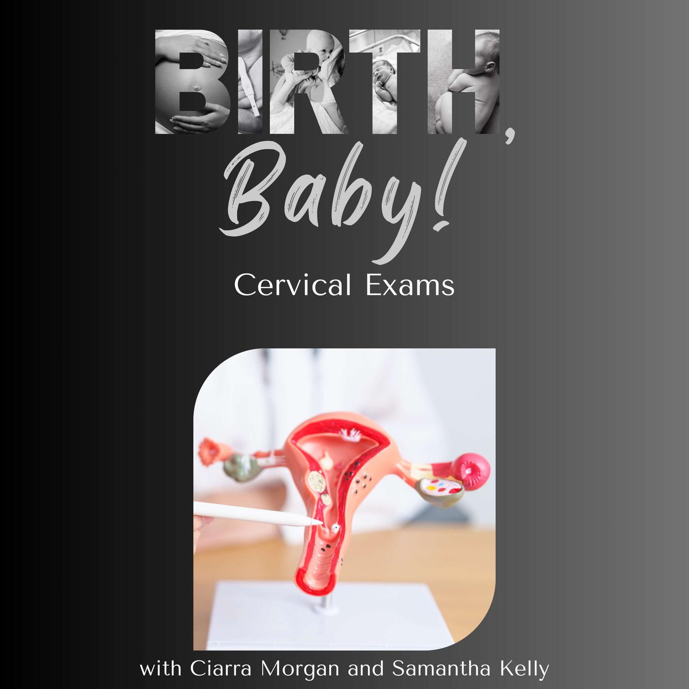 Doulas Do What? Birth Doula Edition - Birth, Baby! (podcast) | Listen Notes