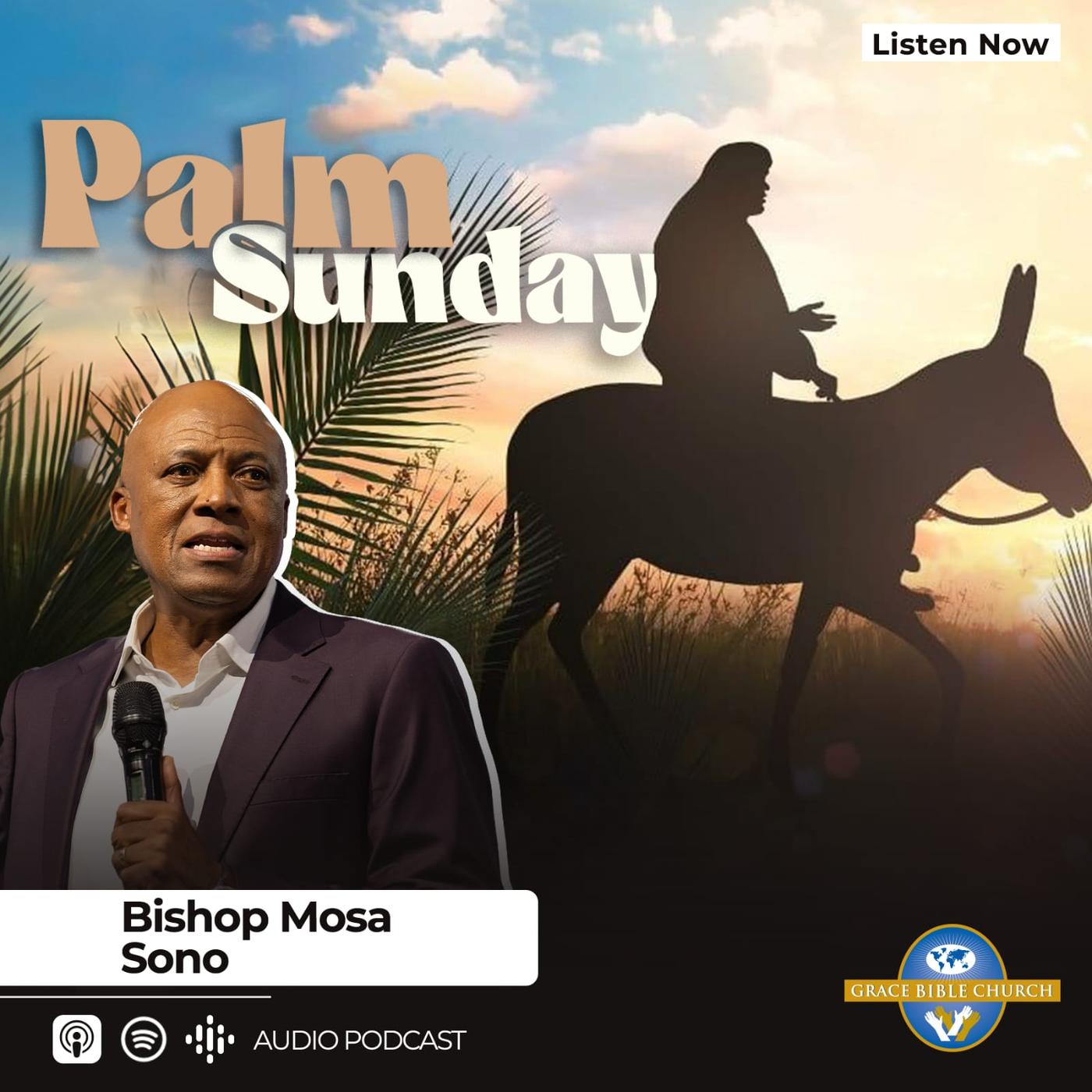 Bishop Mosa Sono (podcast) - Bishop Mosa Sono | Listen Notes
