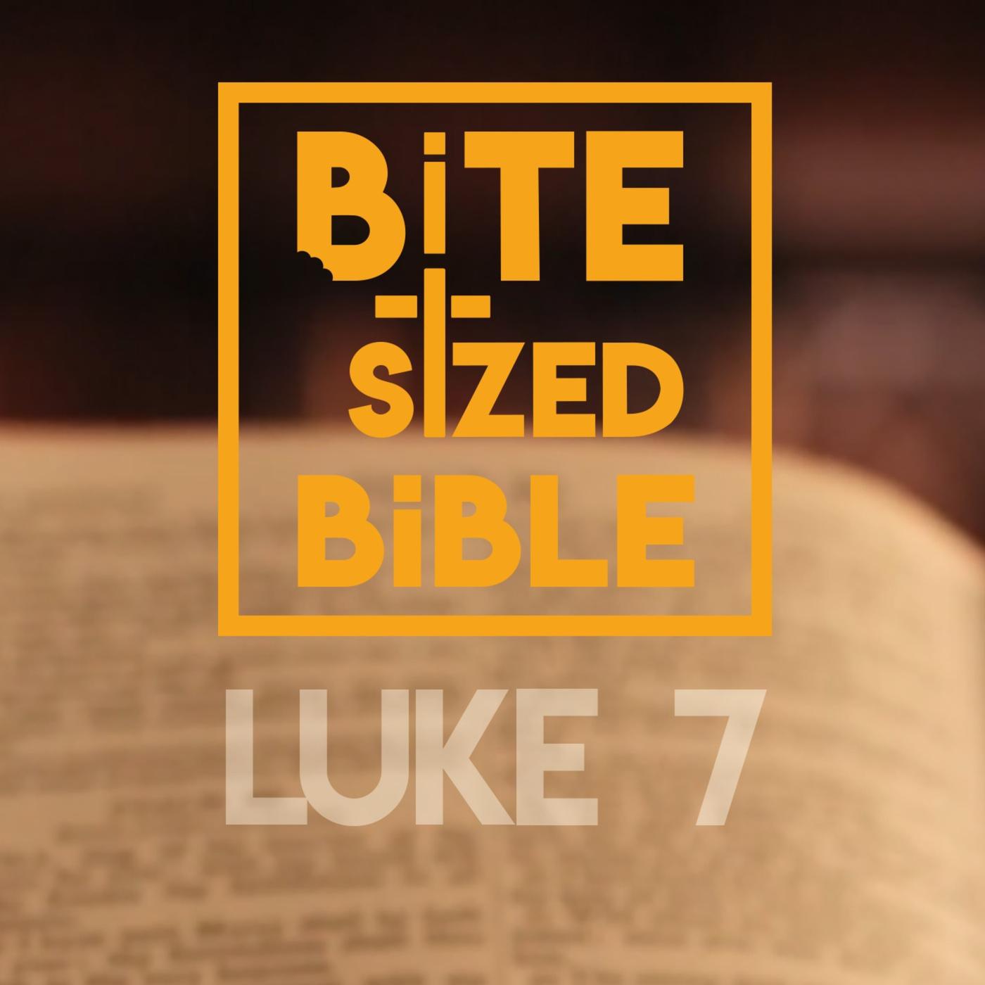 Luke Chapter 3 - Bite-sized Audio Bible Reading - Bite-Sized Bible ...